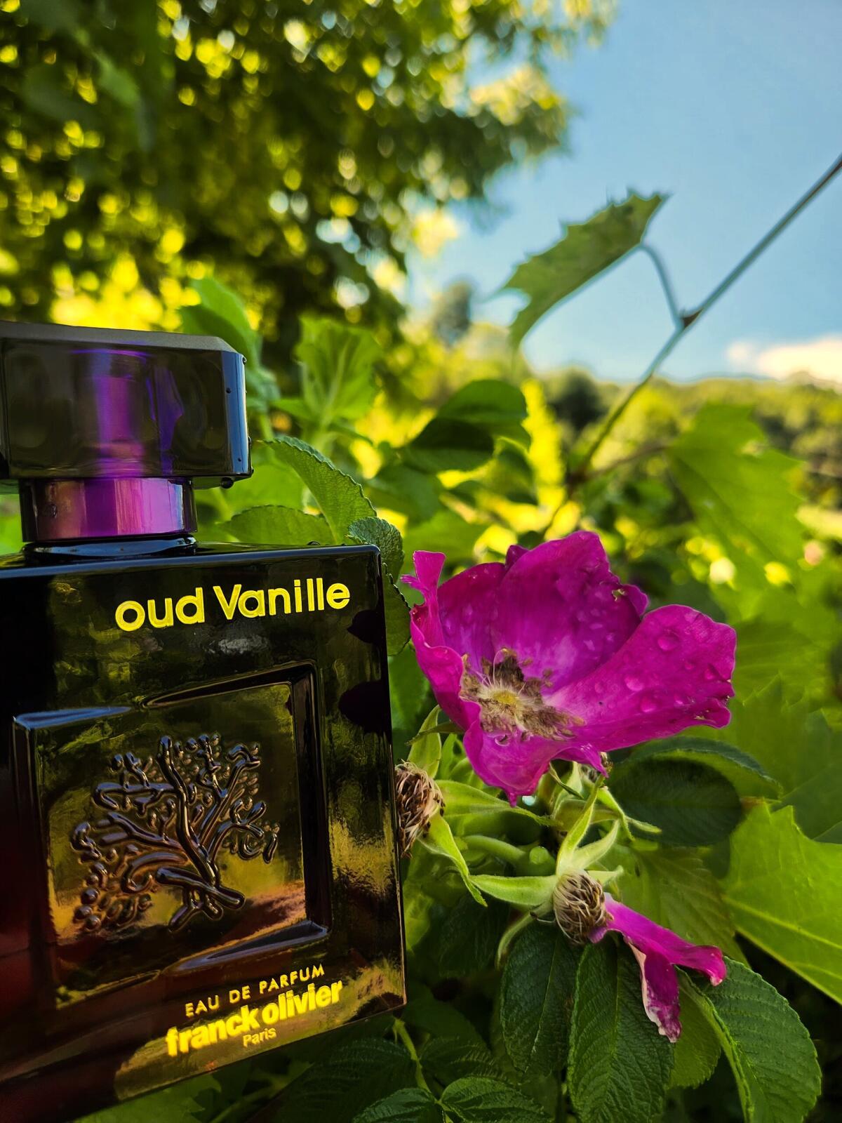 Oud Vanille Franck Olivier parfum - een geur voor dames en heren 2017