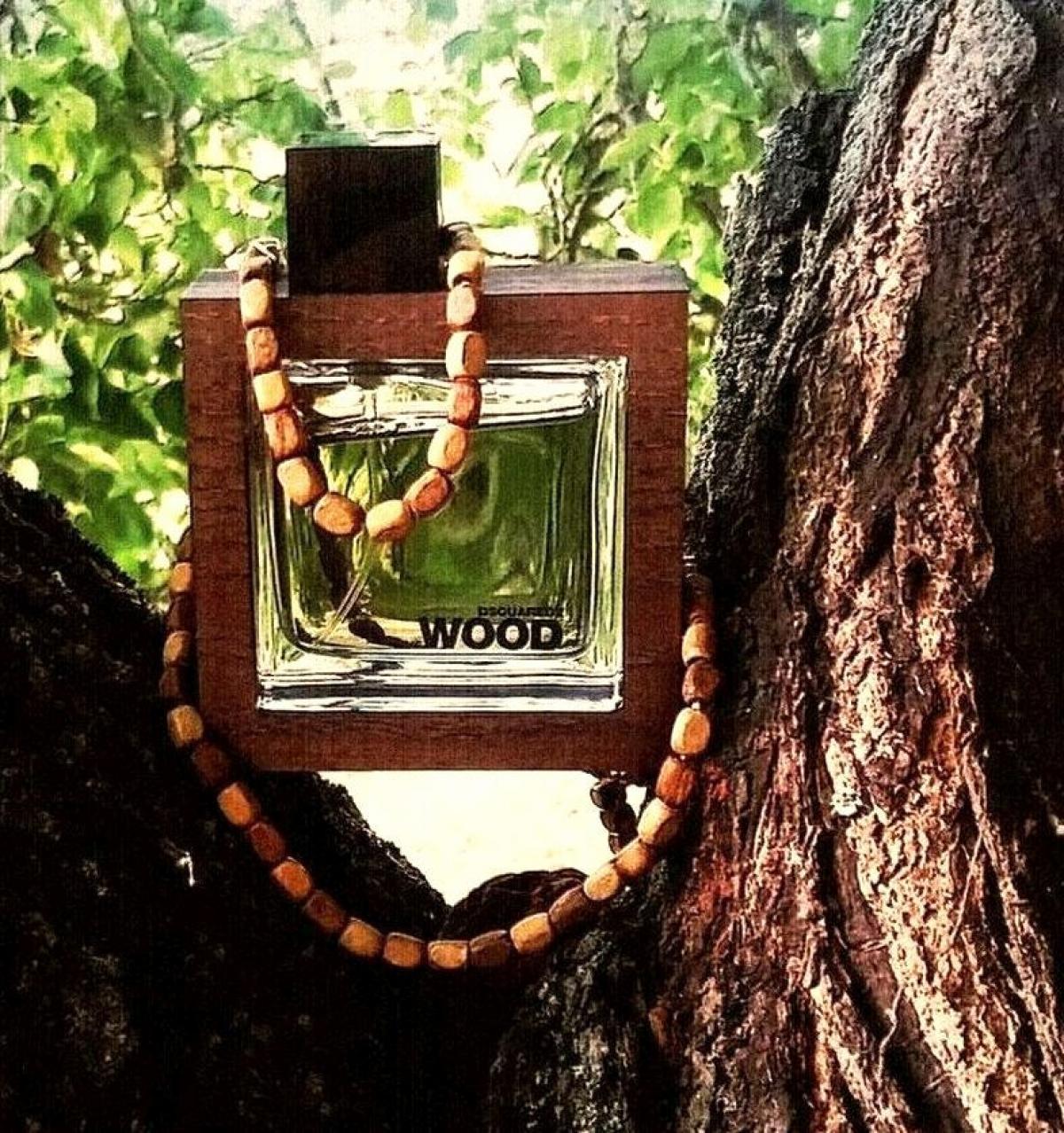 He Wood Rocky Mountain Wood DSQUARED² kolínská - a vůně pro muže 2009