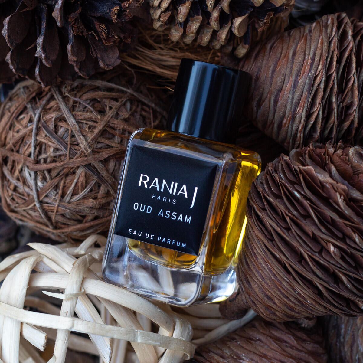 Oud Assam Rania J Parfum - ein es Parfum für Frauen und Männer 2013