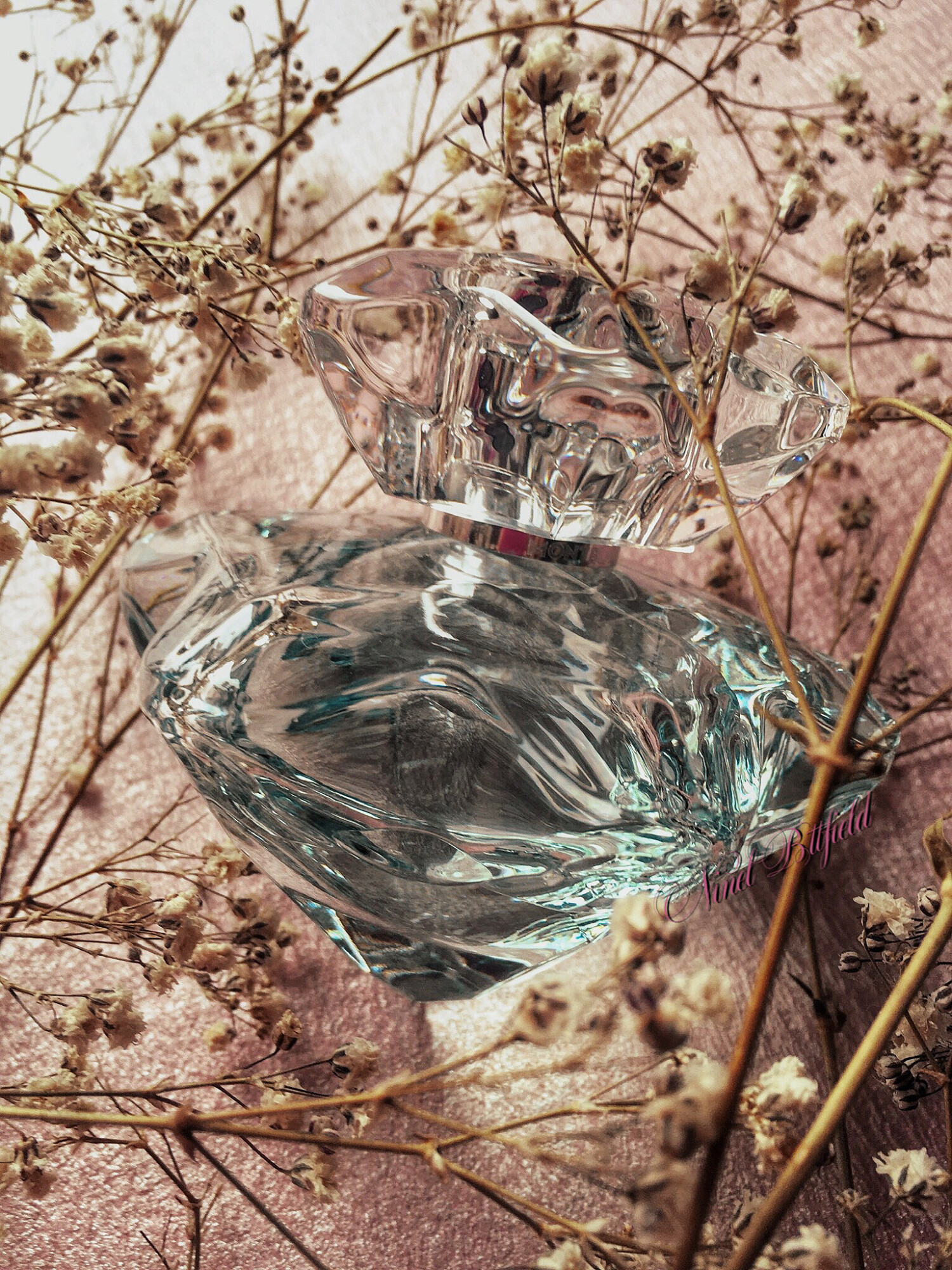 Lady Emblem L'Eau Montblanc fragancia - una fragancia para Mujeres 2017