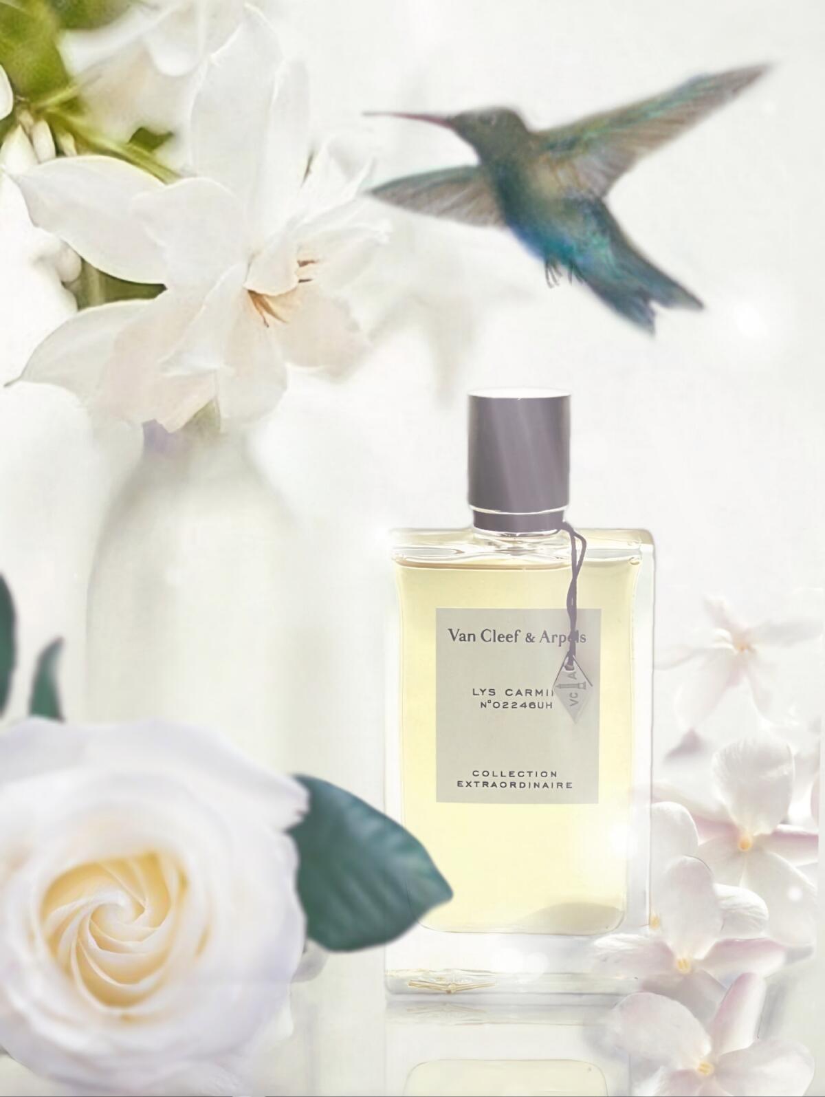 Lys Carmin Van Cleef & Arpels perfume - a fragrância Feminino 2009