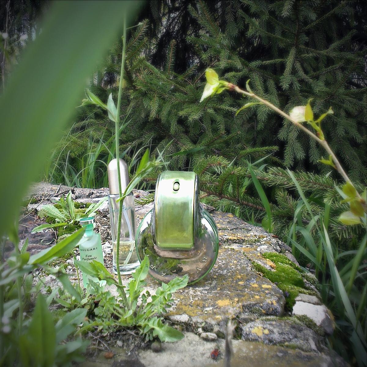 Spring Fever Origins عطر - a fragrance للنساء 1995