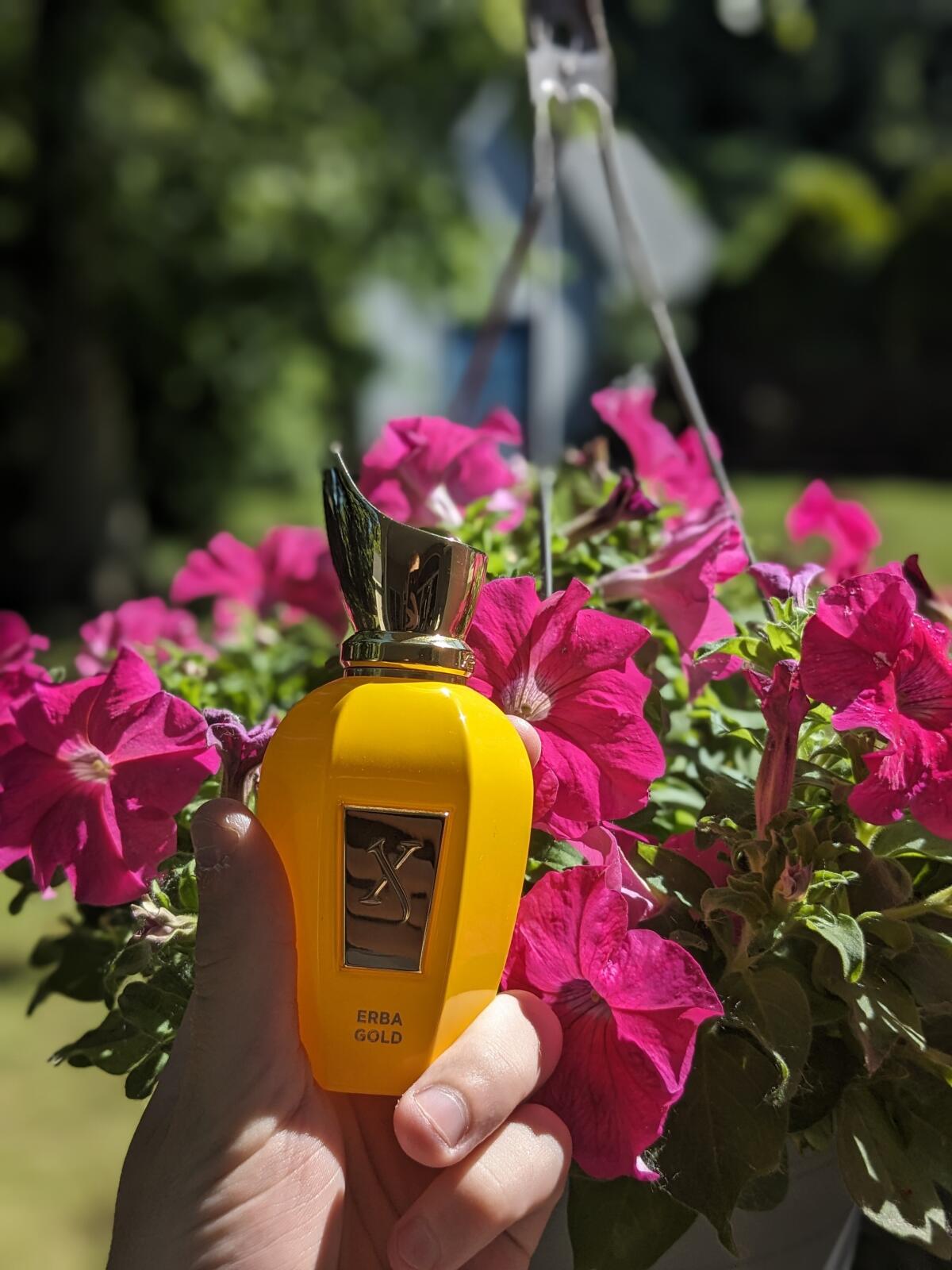 Erba Gold Xerjoff - una fragranza unisex 2016