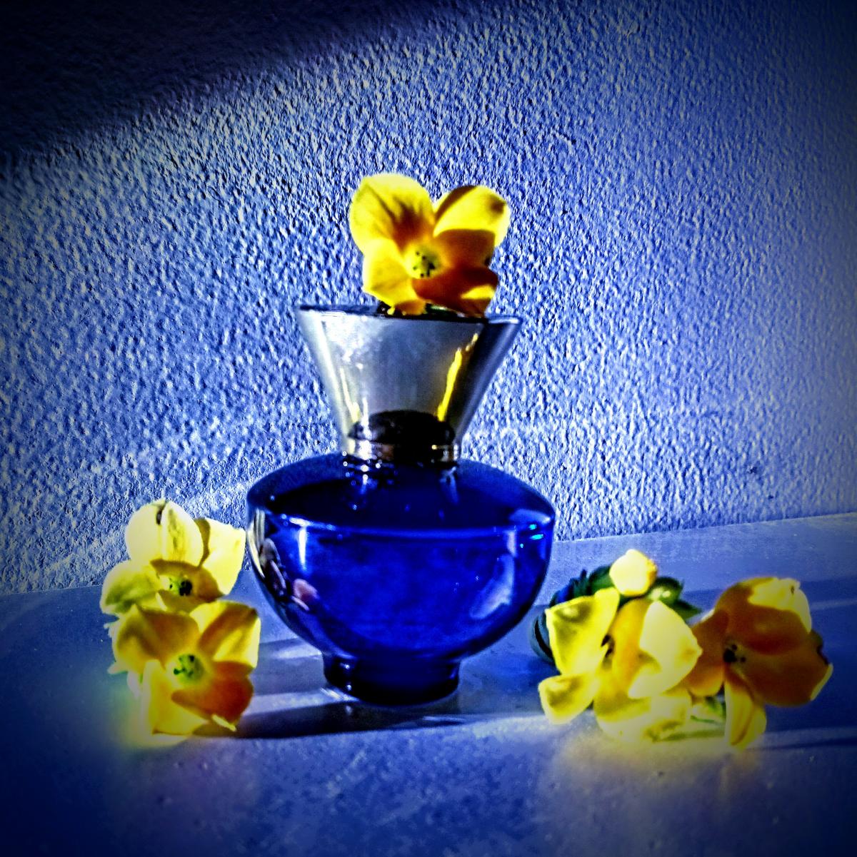 Versace Pour Femme Dylan Blue Versace fragancia - una fragancia para ...