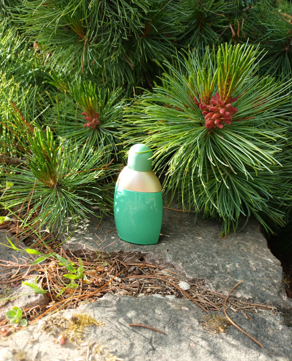 Eden Cacharel perfume - a fragrância Feminino 1994