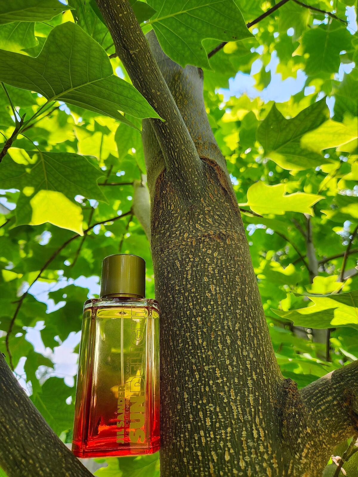 Sun Delight Jil Sander άρωμα - ένα άρωμα για γυναίκες 2006