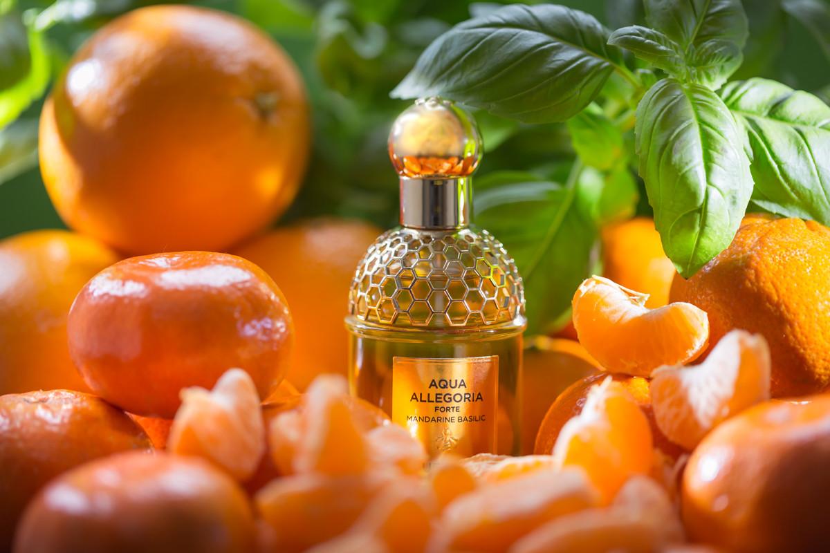 Aqua Allegoria Forte Mandarine Basilic Guerlain parfum - un nou parfum ...