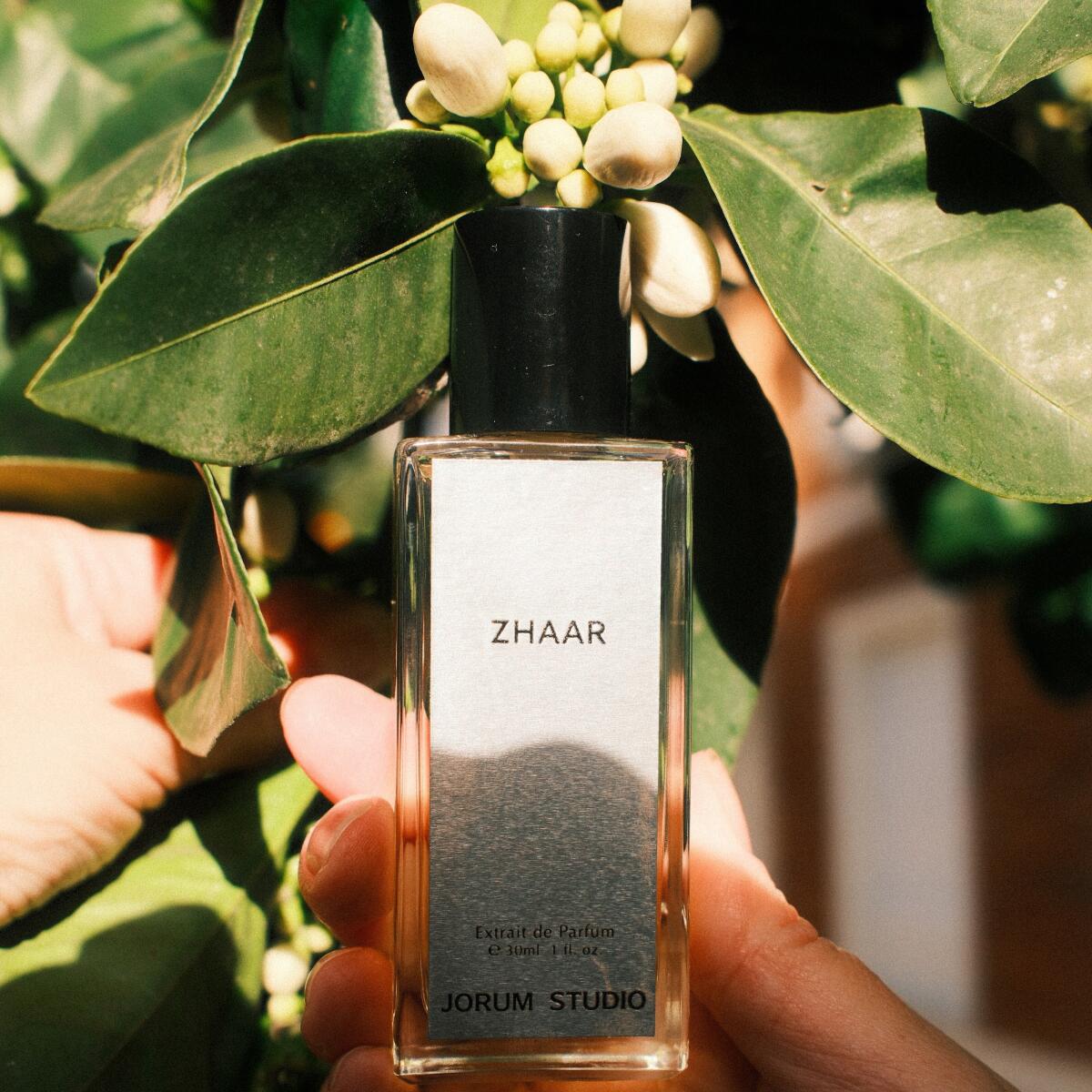 Zhaar Jorum Studio fragancia - una nuevo fragancia para Hombres y ...