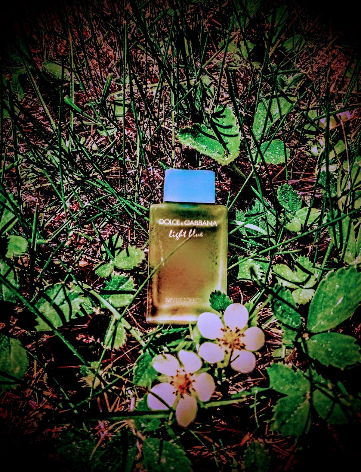 Light Blue Dolce&Gabbana parfem - parfem za žene 2001