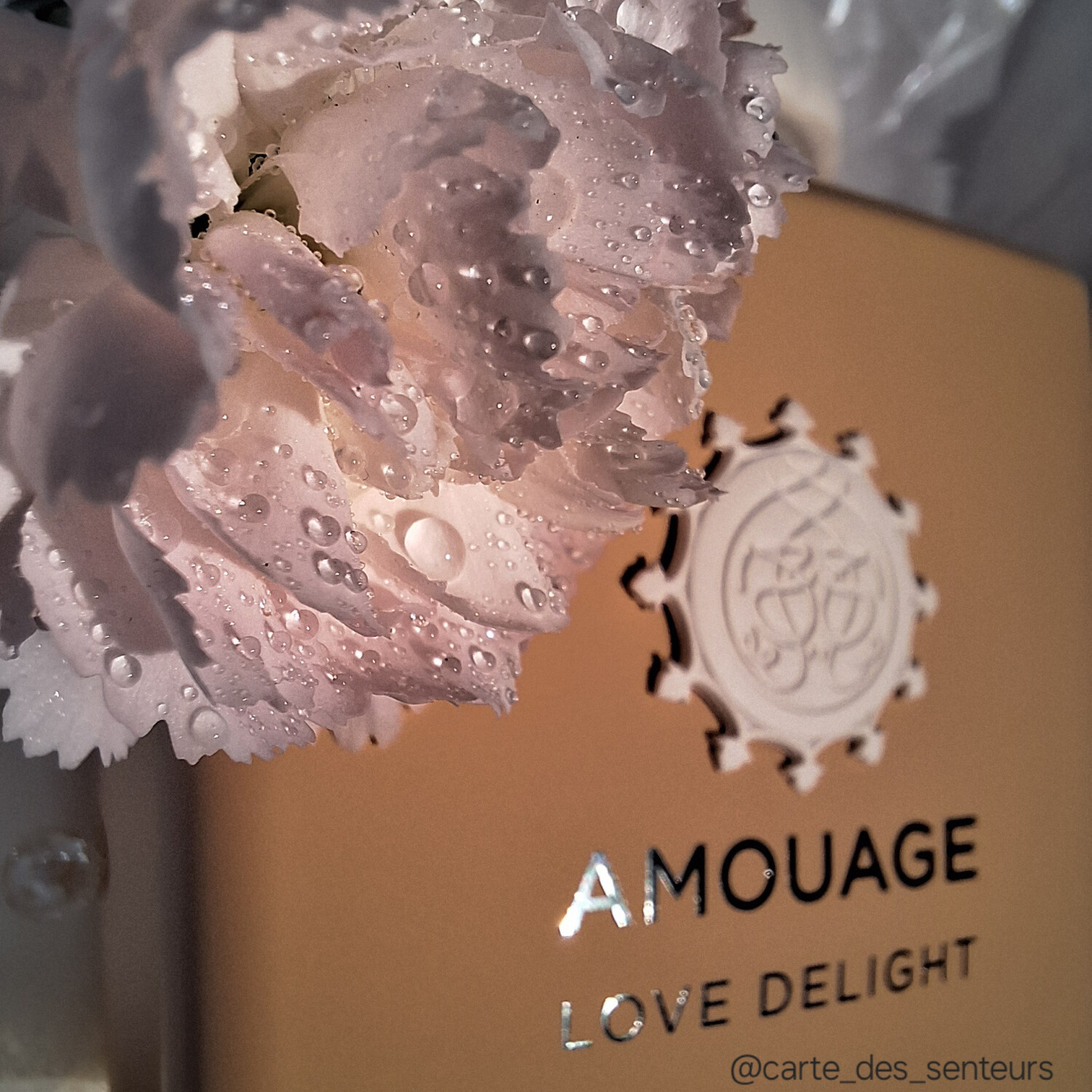 Love Delight Amouage parfum - un nouveau parfum pour femme 2024