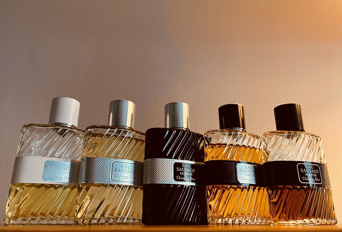 Eau Sauvage Extreme 2010 Dior Cologne - un parfum pour homme 2010