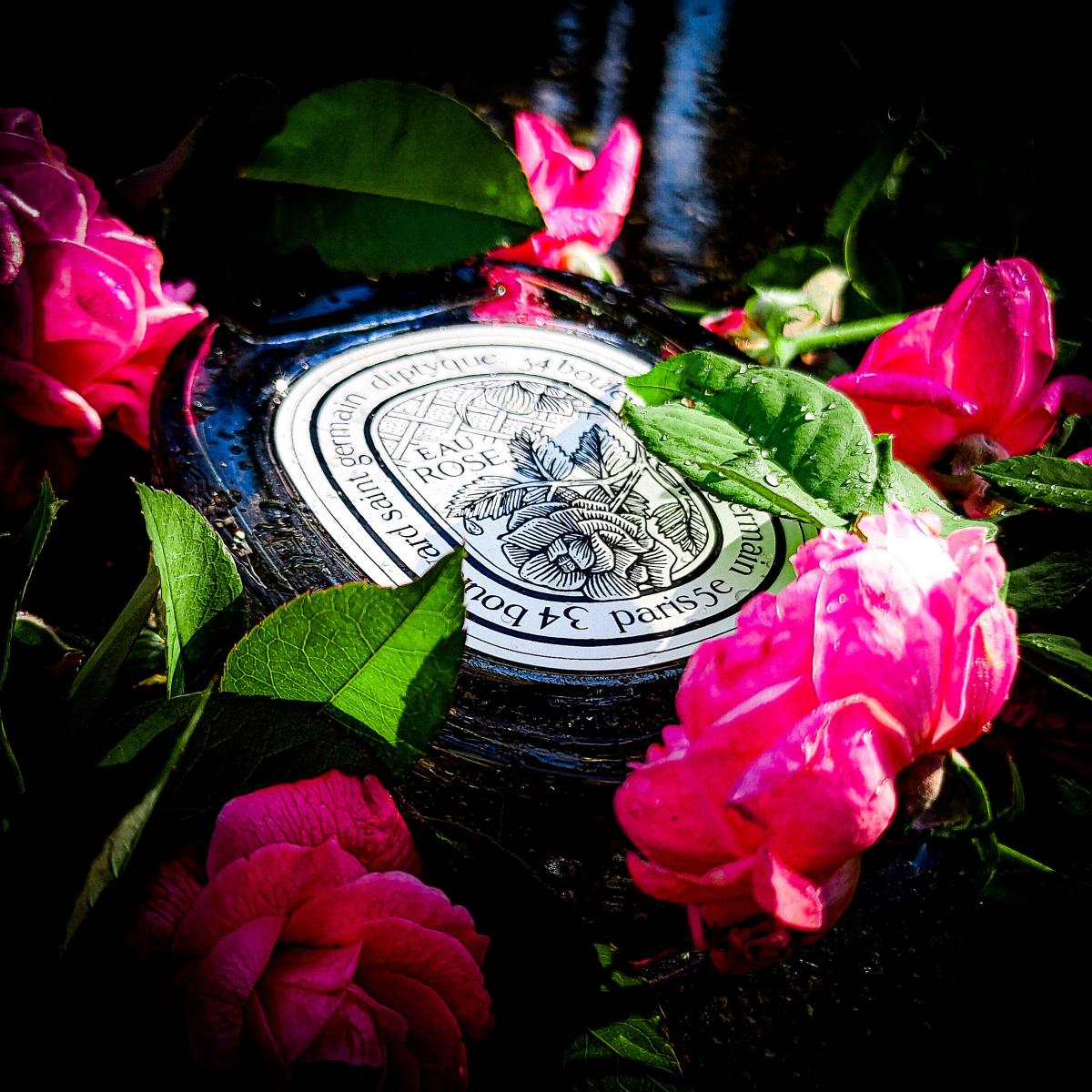 Eau Rose Diptyque perfume - a fragrância Feminino 2012