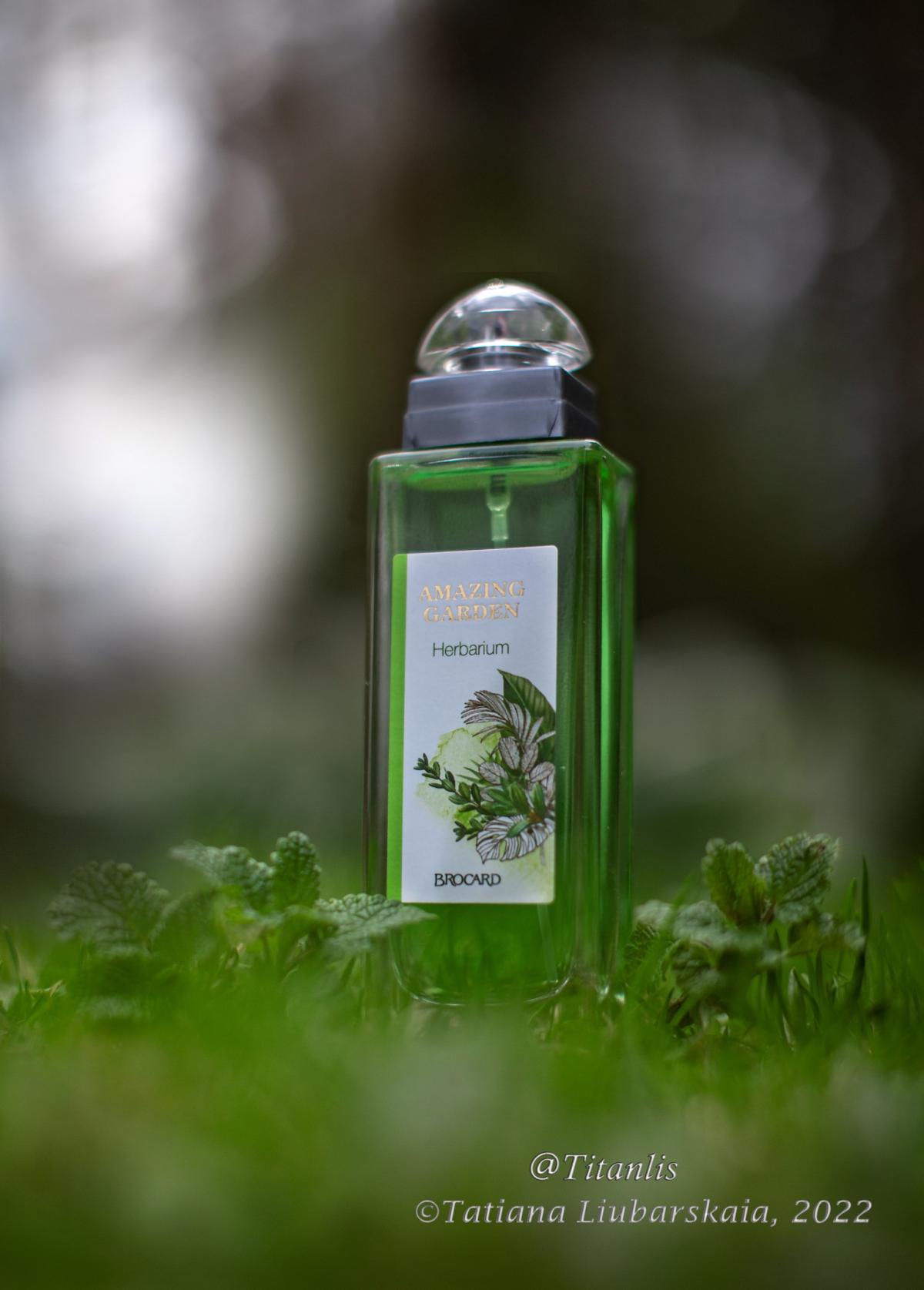 Herbarium Brocard perfume - a novo fragrância Compartilhável 2022