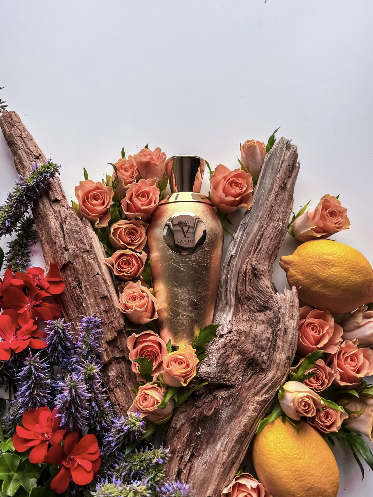 Posi V Canto parfum - un parfum pour homme et femme 2019