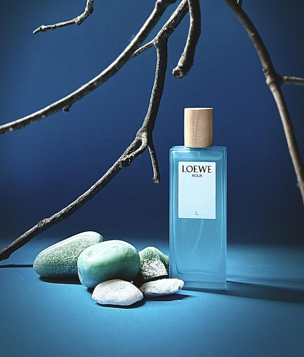 Agua de Loewe El Loewe Colonia - una fragancia para Hombres 2009