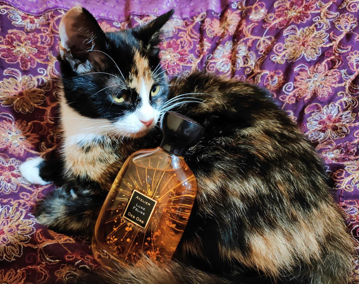 Lune Feline Atelier des Ors fragancia - una fragancia para Hombres y ...