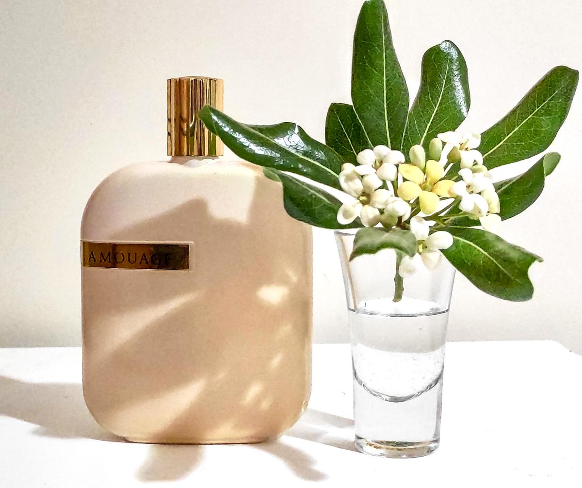 The Library Collection Opus VIII Amouage parfem - parfem za žene i ...