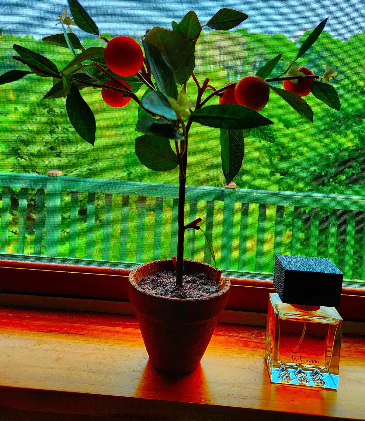 Rogue Rihanna perfume - a fragrância Feminino 2013