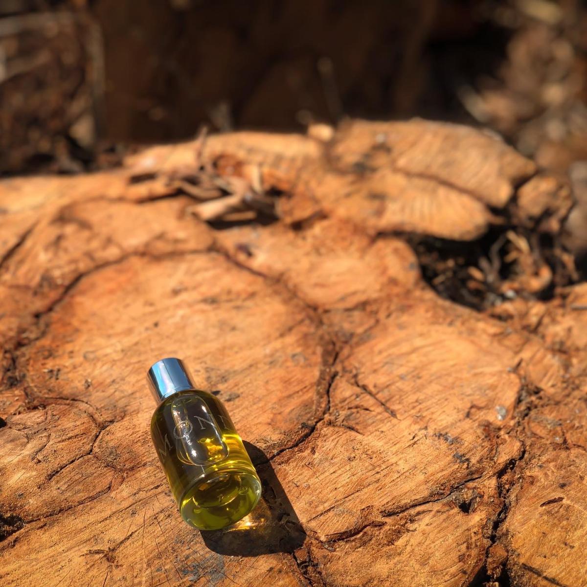 Mond Slumberhouse άρωμα - ένα άρωμα για γυναίκες και άνδρες 2021