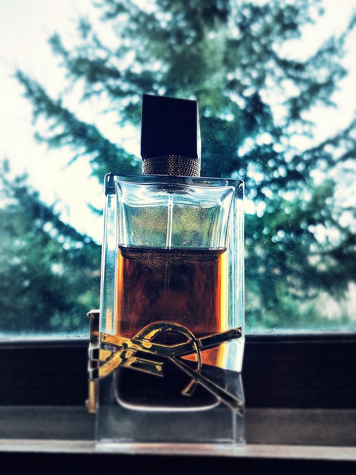 Libre Intense Yves Saint Laurent perfume - a fragrância Feminino 2020