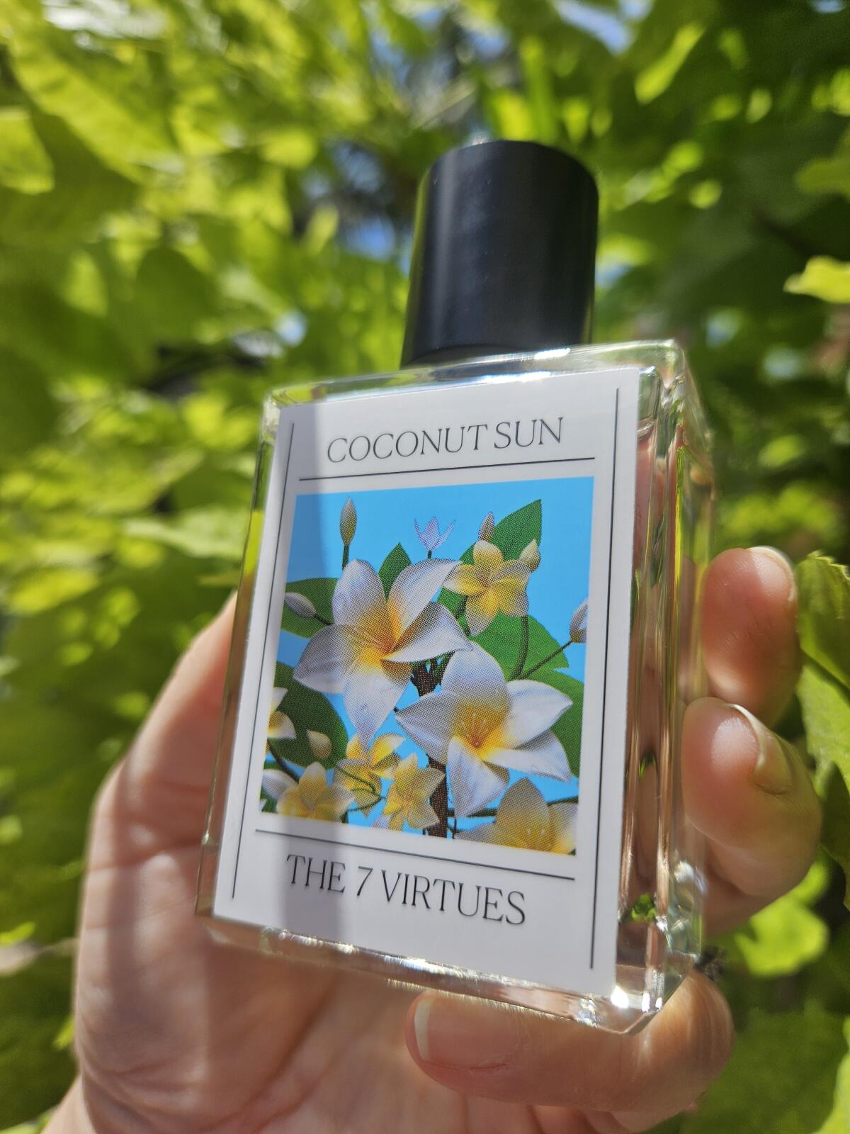 Coconut Sun The 7 Virtues parfum - un nouveau parfum pour homme et ...