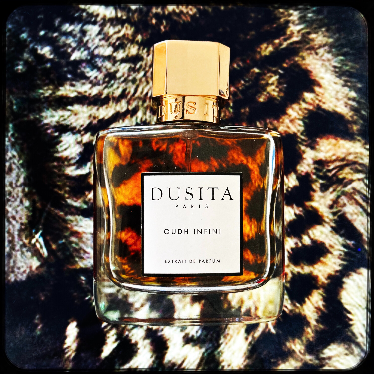 Oudh Infini Parfums Dusita - una fragranza unisex 2016