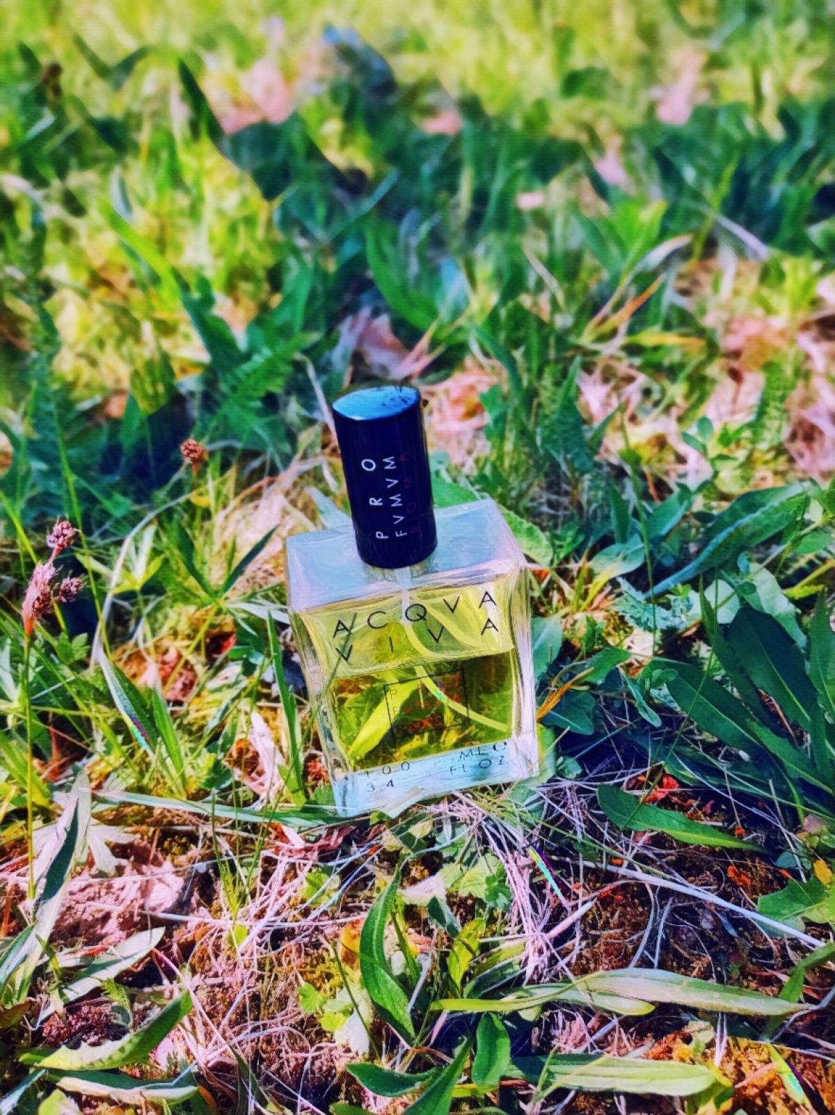 Acqua Viva Profumum Roma fragancia - una fragancia para Hombres y ...