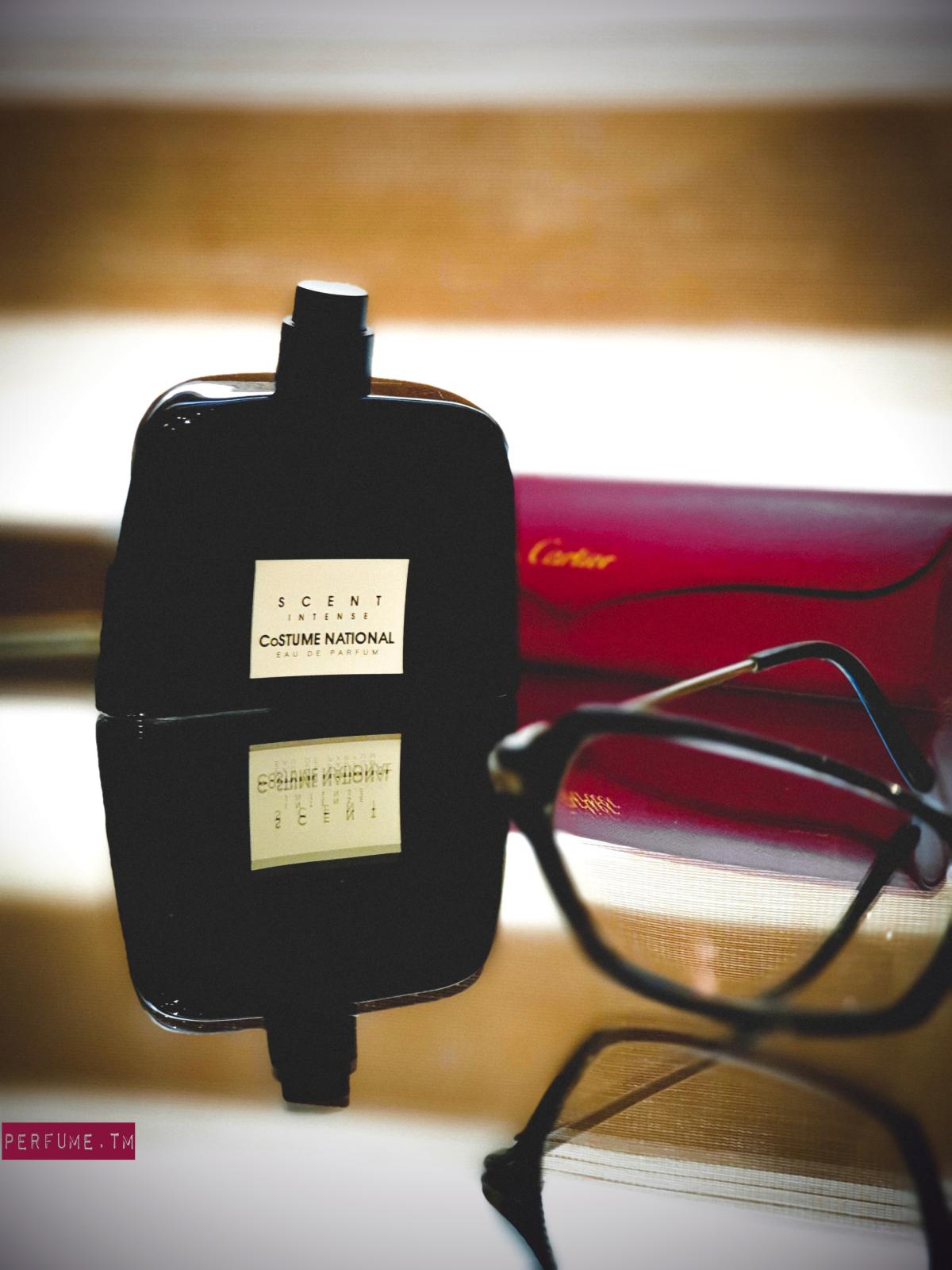 Scent Intense CoSTUME NATIONAL fragancia - una fragancia para Hombres y ...