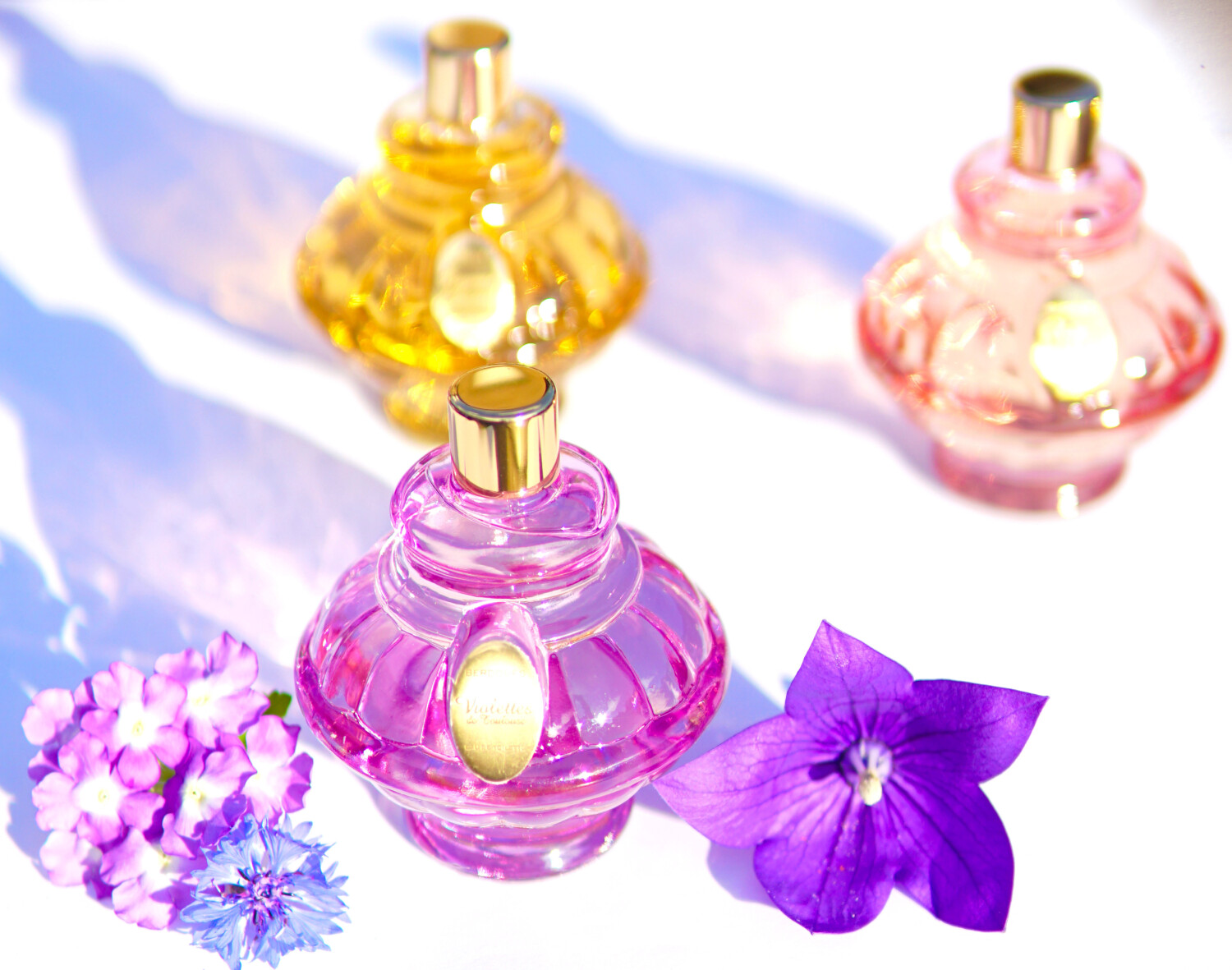 Violettes de Toulouse Eau de Parfum Parfums Berdoues parfum - un parfum ...