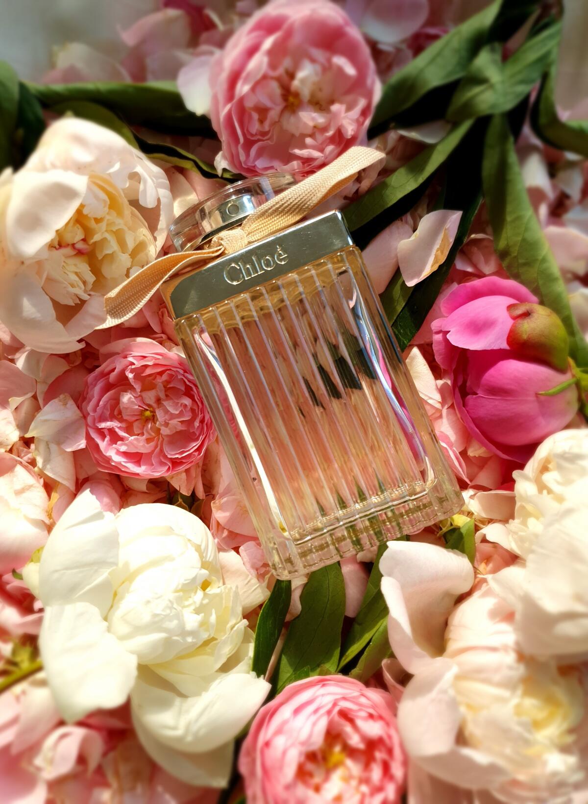 Chloé Eau de Parfum Chloé parfem - parfem za žene 2008