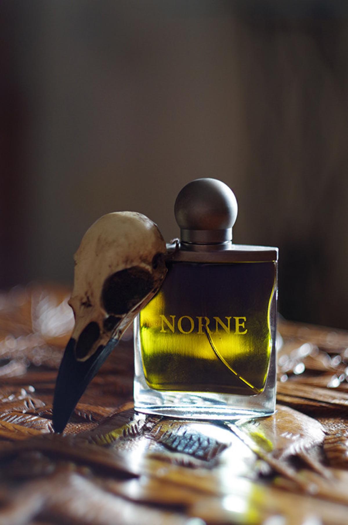 Norne Slumberhouse аромат — аромат для мужчин и женщин 2012