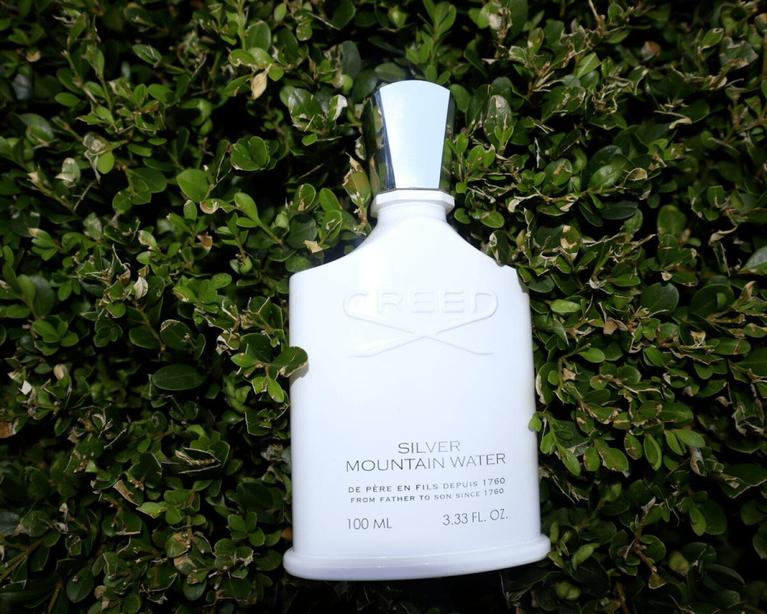 Silver Mountain Water Creed perfume - a fragrância Compartilhável 1995