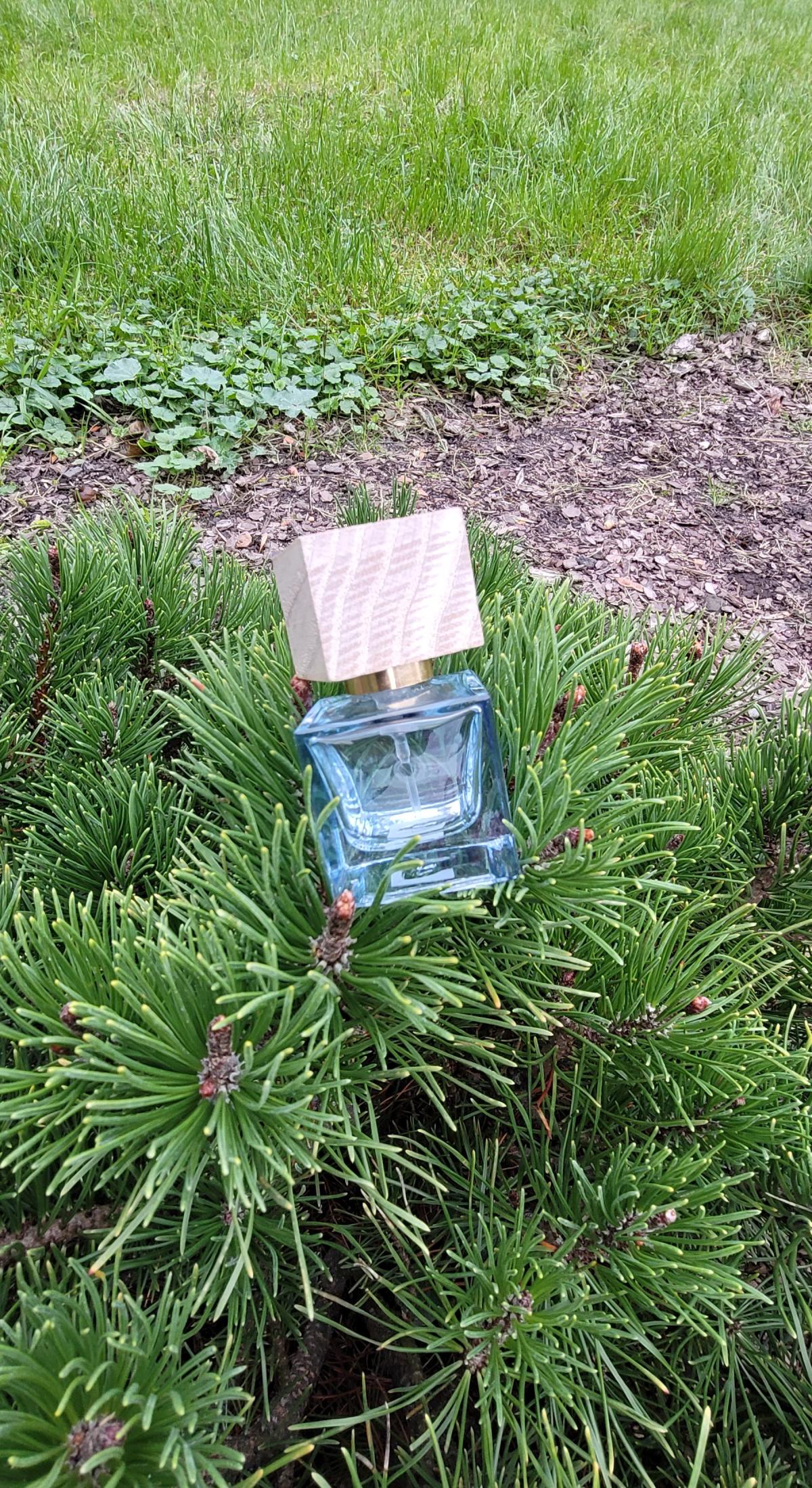 Océan Infini Rituals fragancia - una fragancia para Mujeres 2018