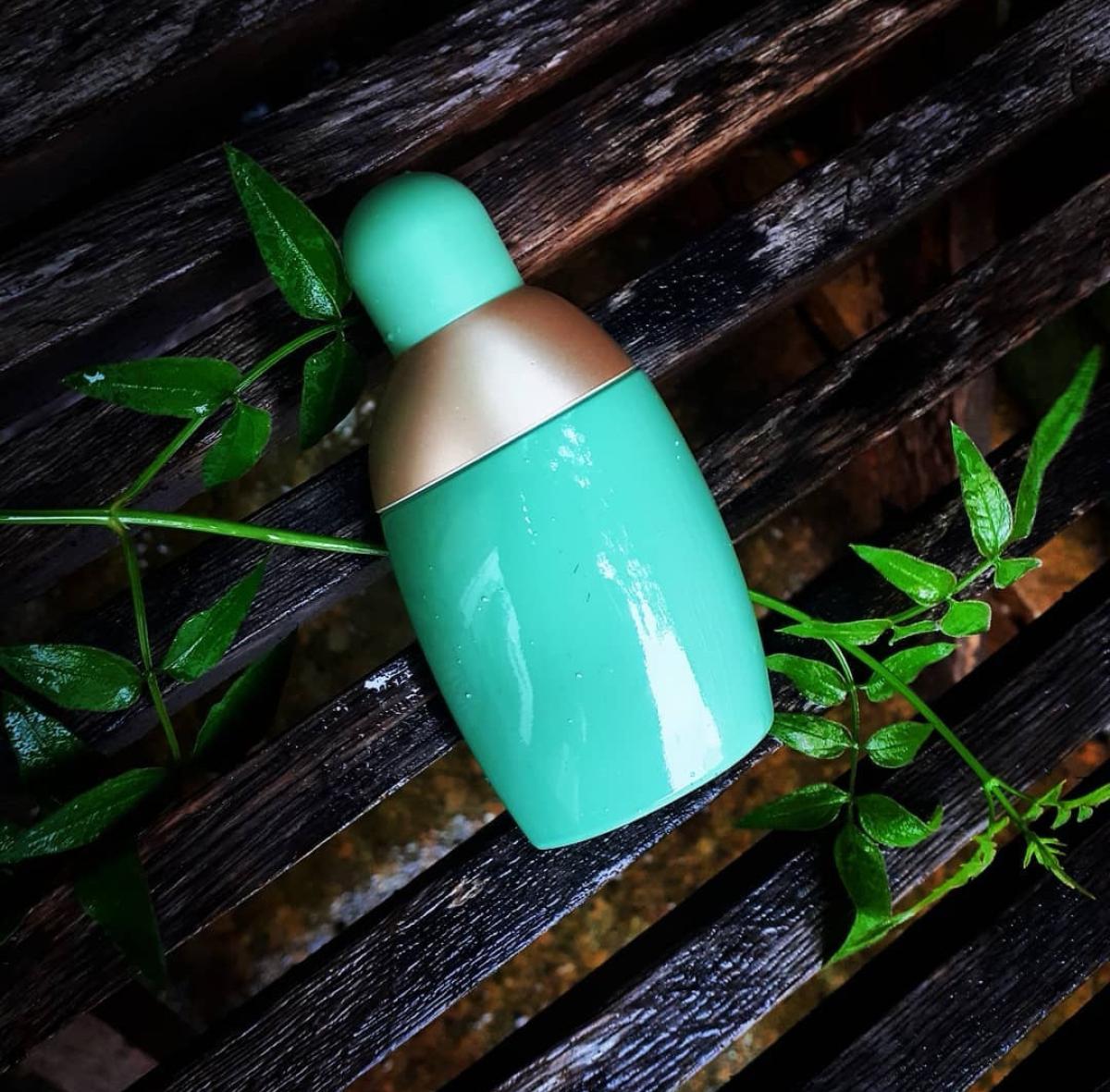 Eden Cacharel perfume - a fragrância Feminino 1994