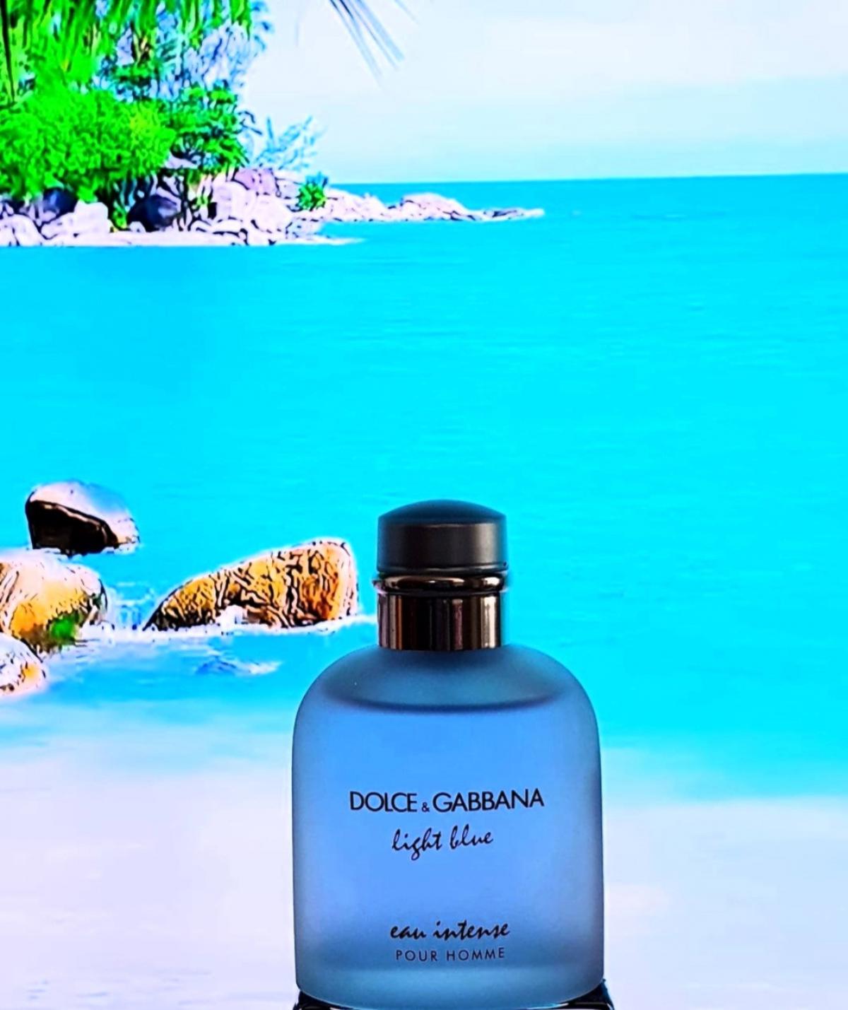 Light Blue Eau Intense Pour Homme Dolce&Gabbana Colonia - una fragancia ...