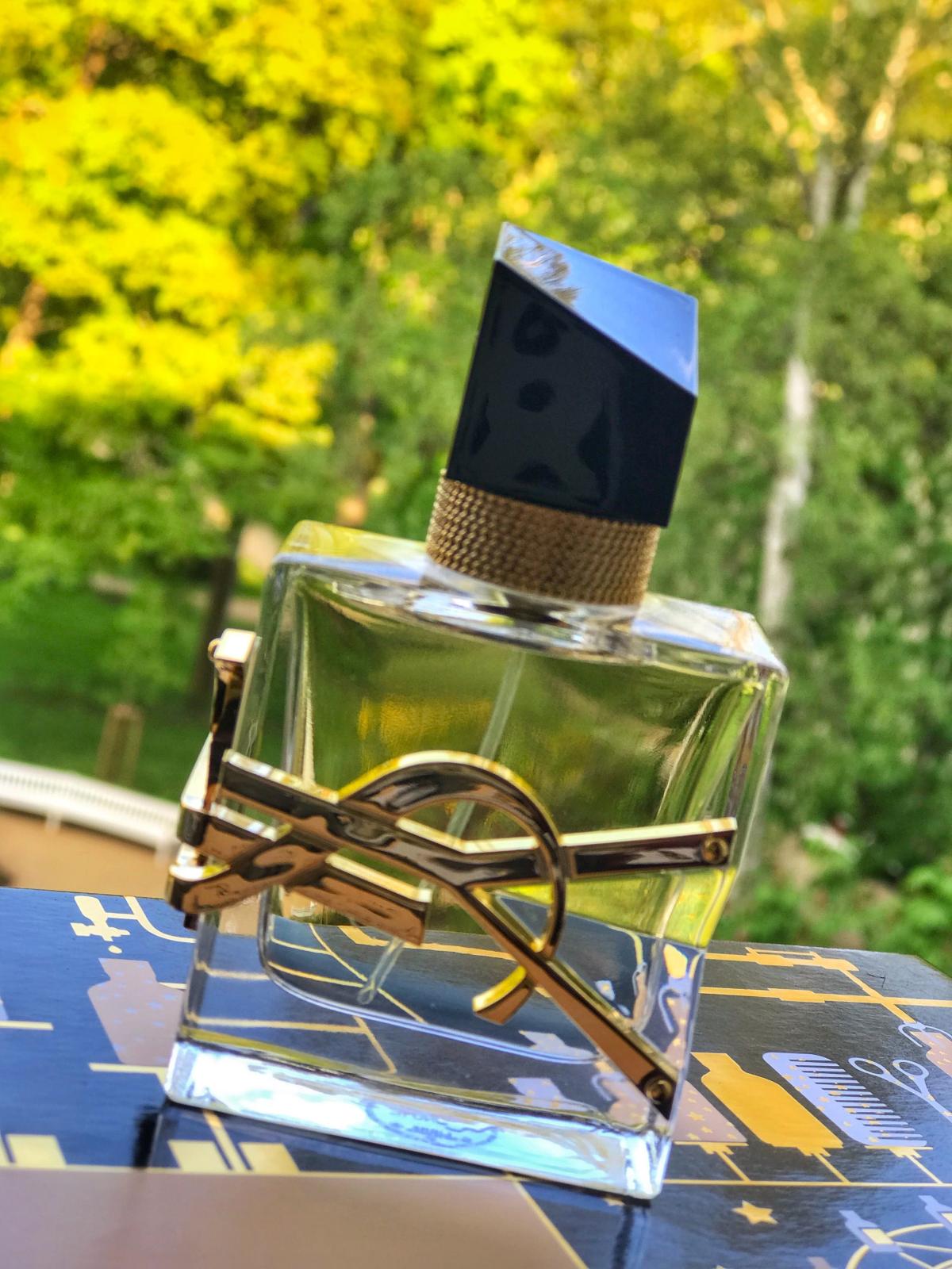 Libre Yves Saint Laurent parfum - un parfum pour femme 2019