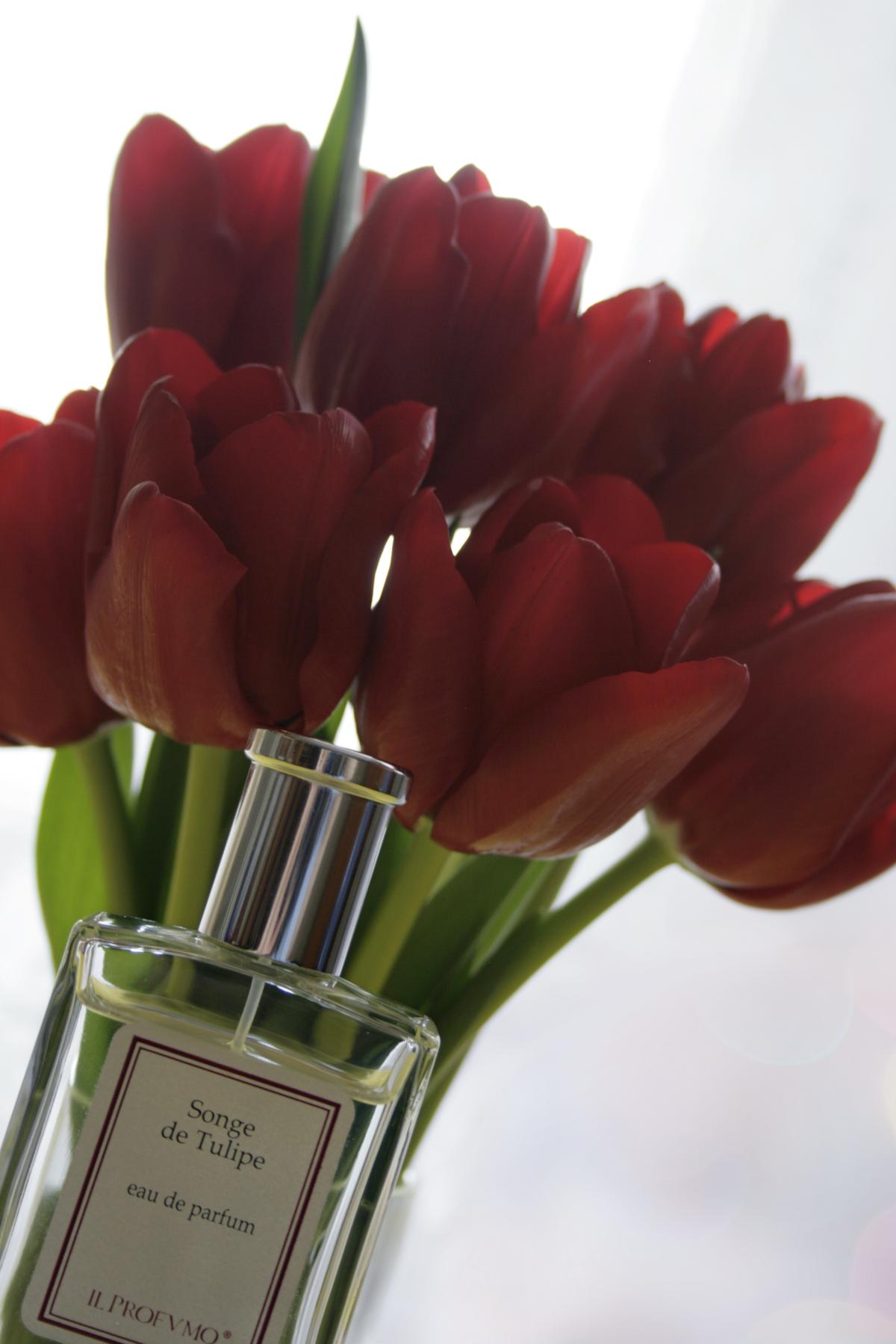Multiflor Line Songe de Tulipe Il Profvmo perfume - a fragrância ...