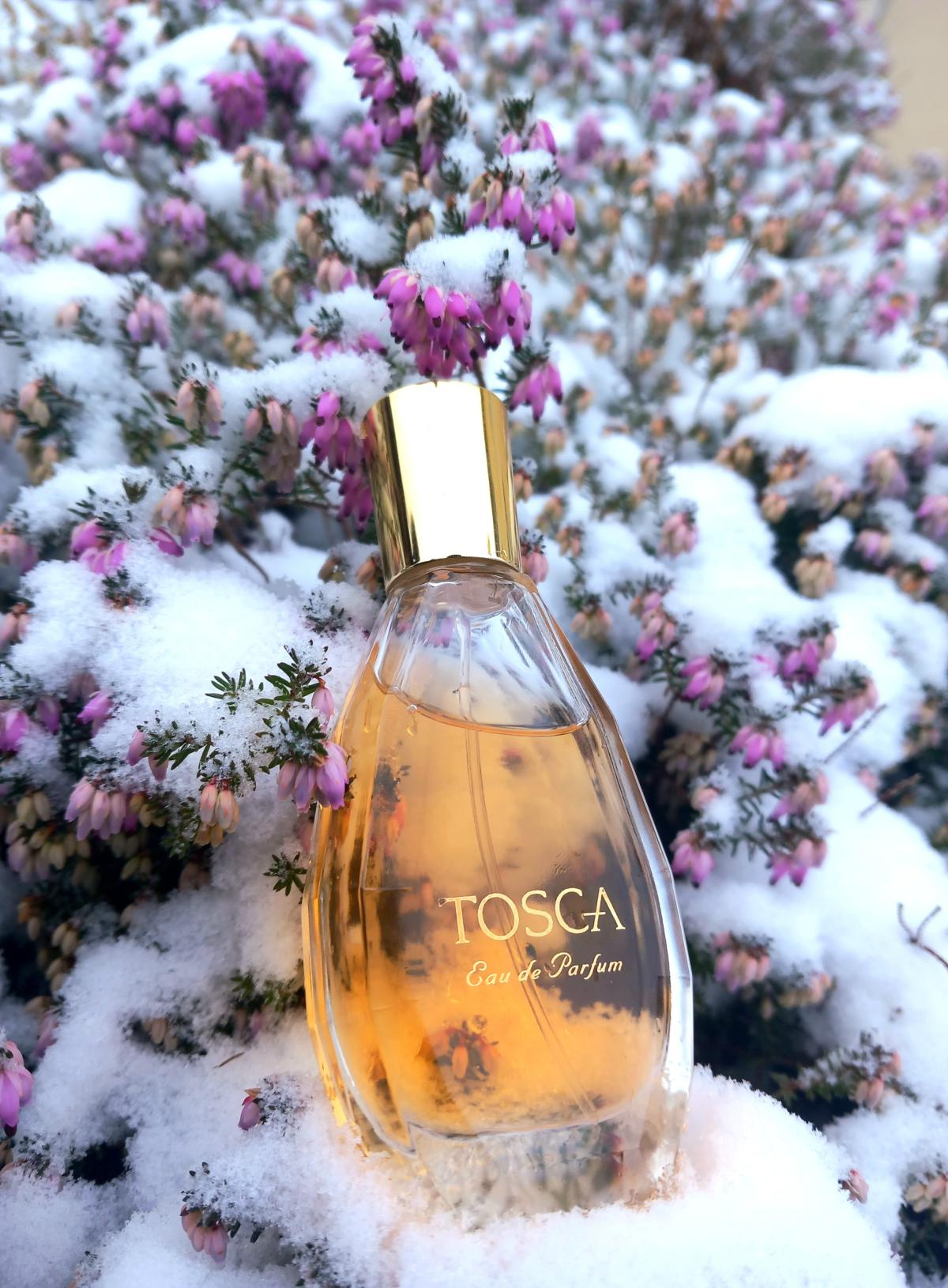 Tosca Tosca Parfum - ein es Parfum für Frauen 1921