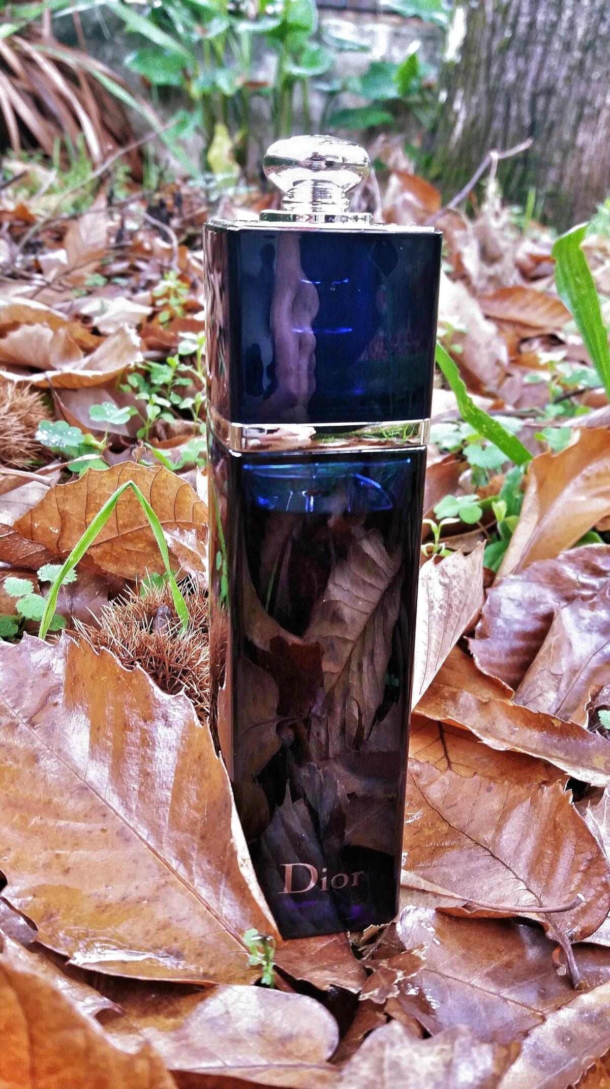 Dior Addict Dior - una fragranza da donna 2002