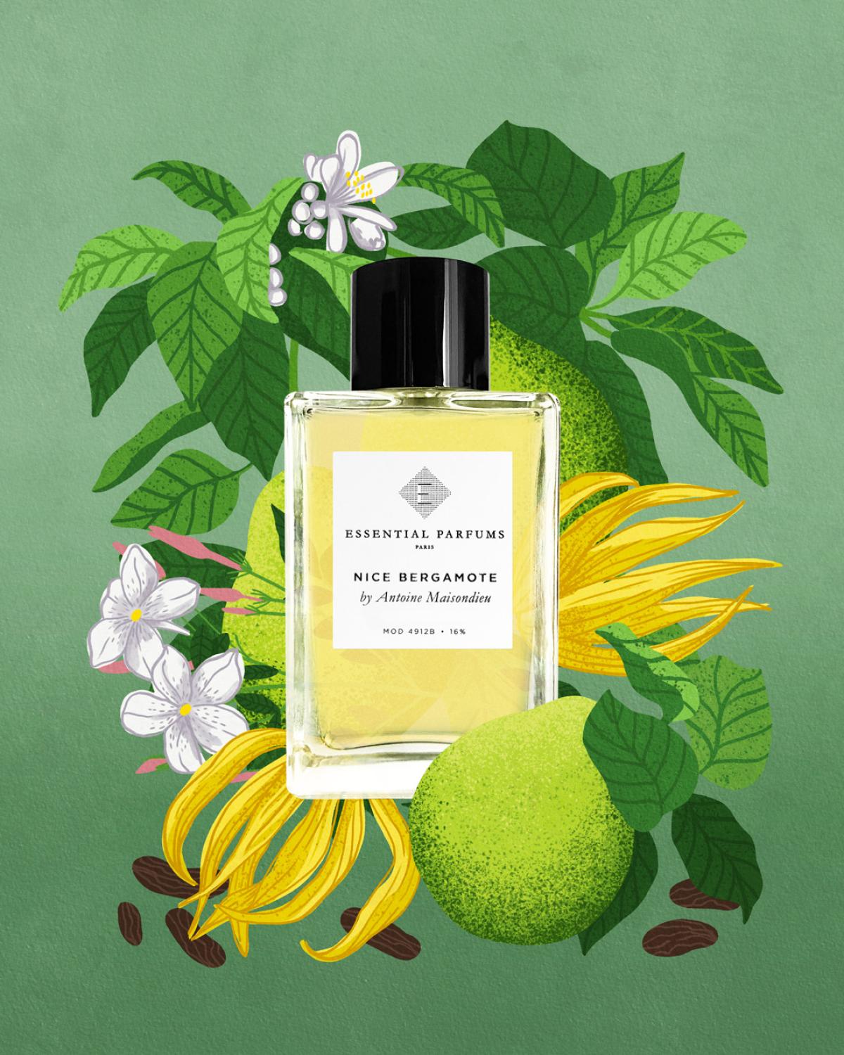 Nice Bergamote Essential Parfums аромат — аромат для мужчин и женщин 2018