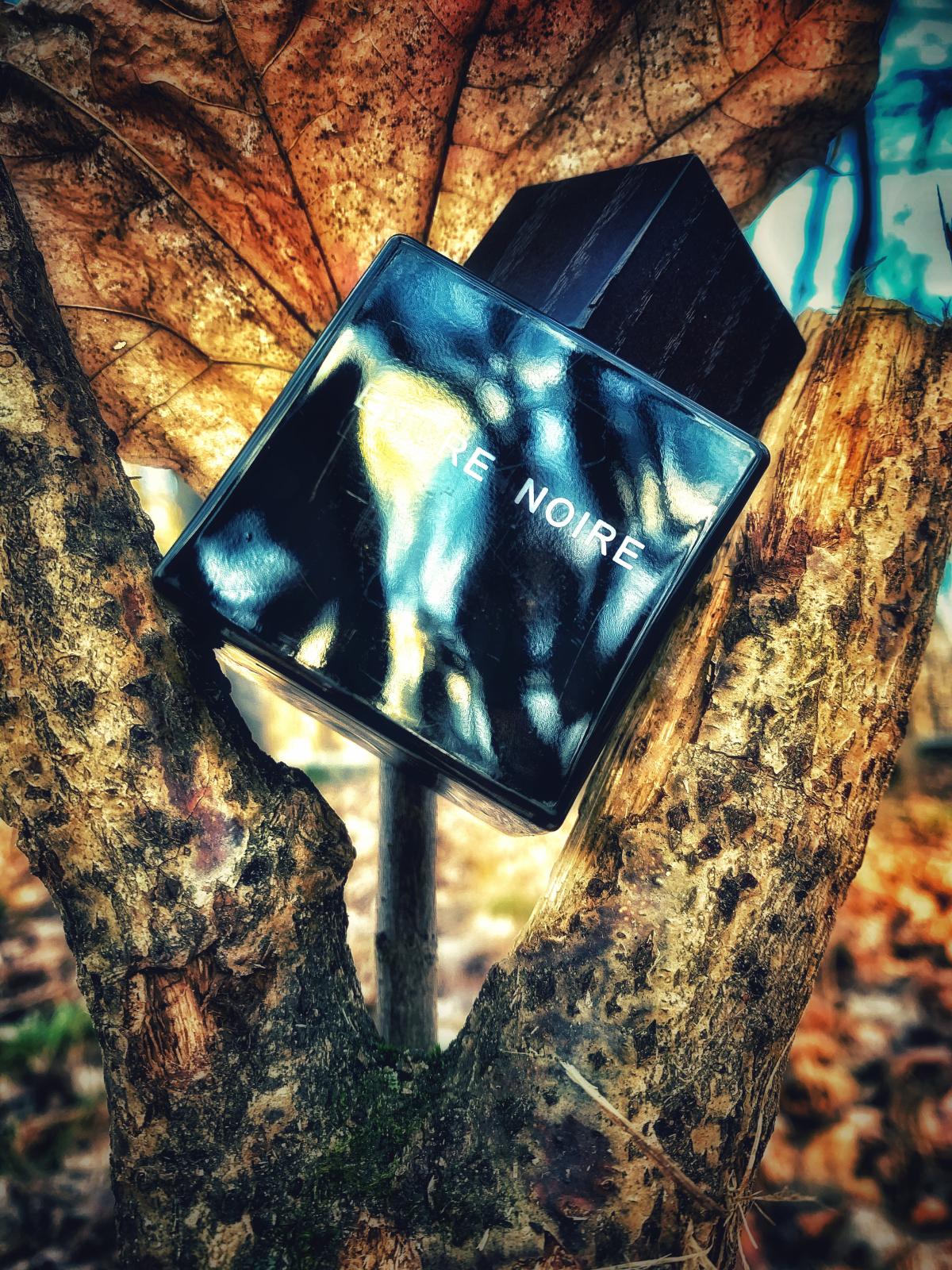 Encre Noire Lalique одеколон — аромат для мужчин 2006