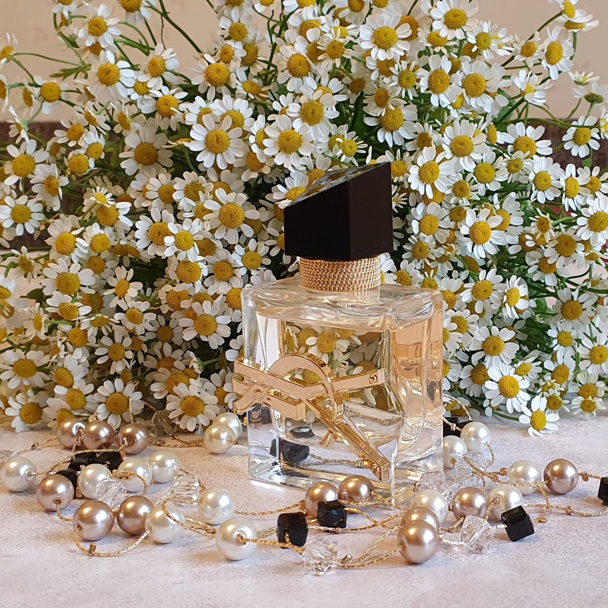 Libre Yves Saint Laurent аромат — аромат для женщин 2019