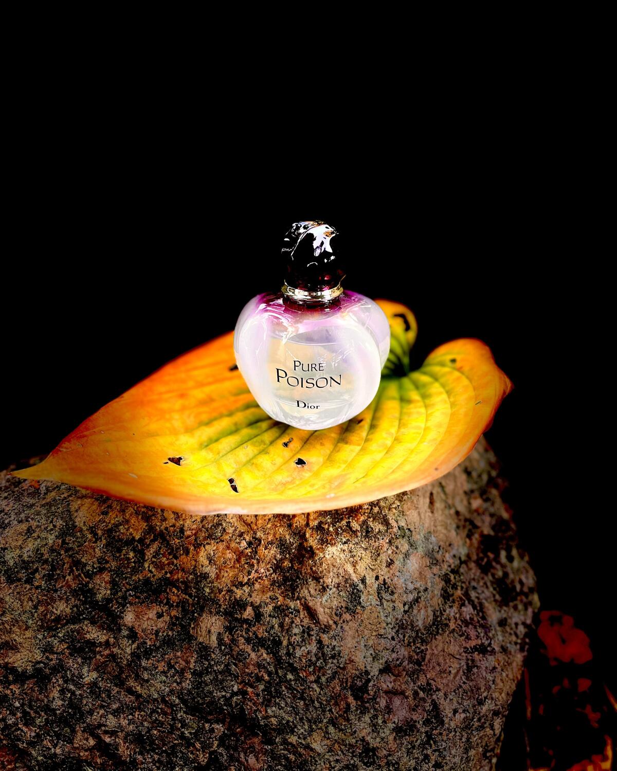 Pure Poison Dior perfume - a fragrância Feminino 2004