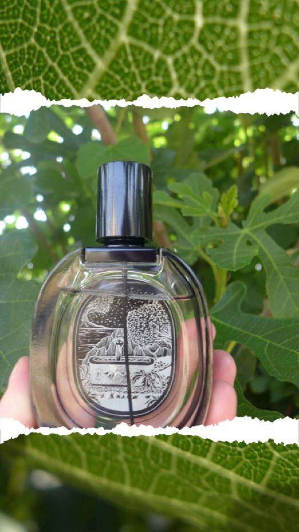 Philosykos Eau de Parfum 2012 Diptyque fragancia - una fragancia para ...