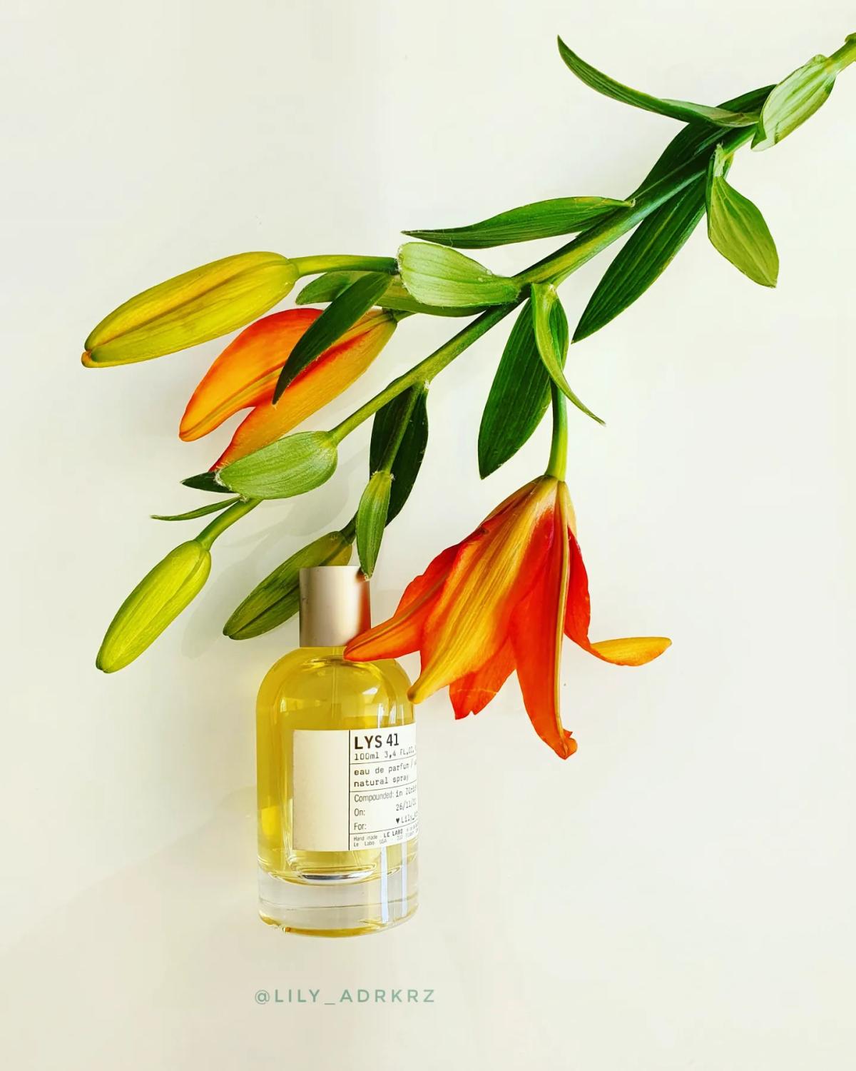 Lys 41 Le Labo parfum - un parfum pour femme 2013