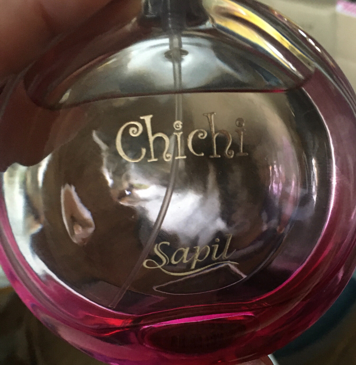 Chichi Sapil parfum - un parfum pour femme 2005