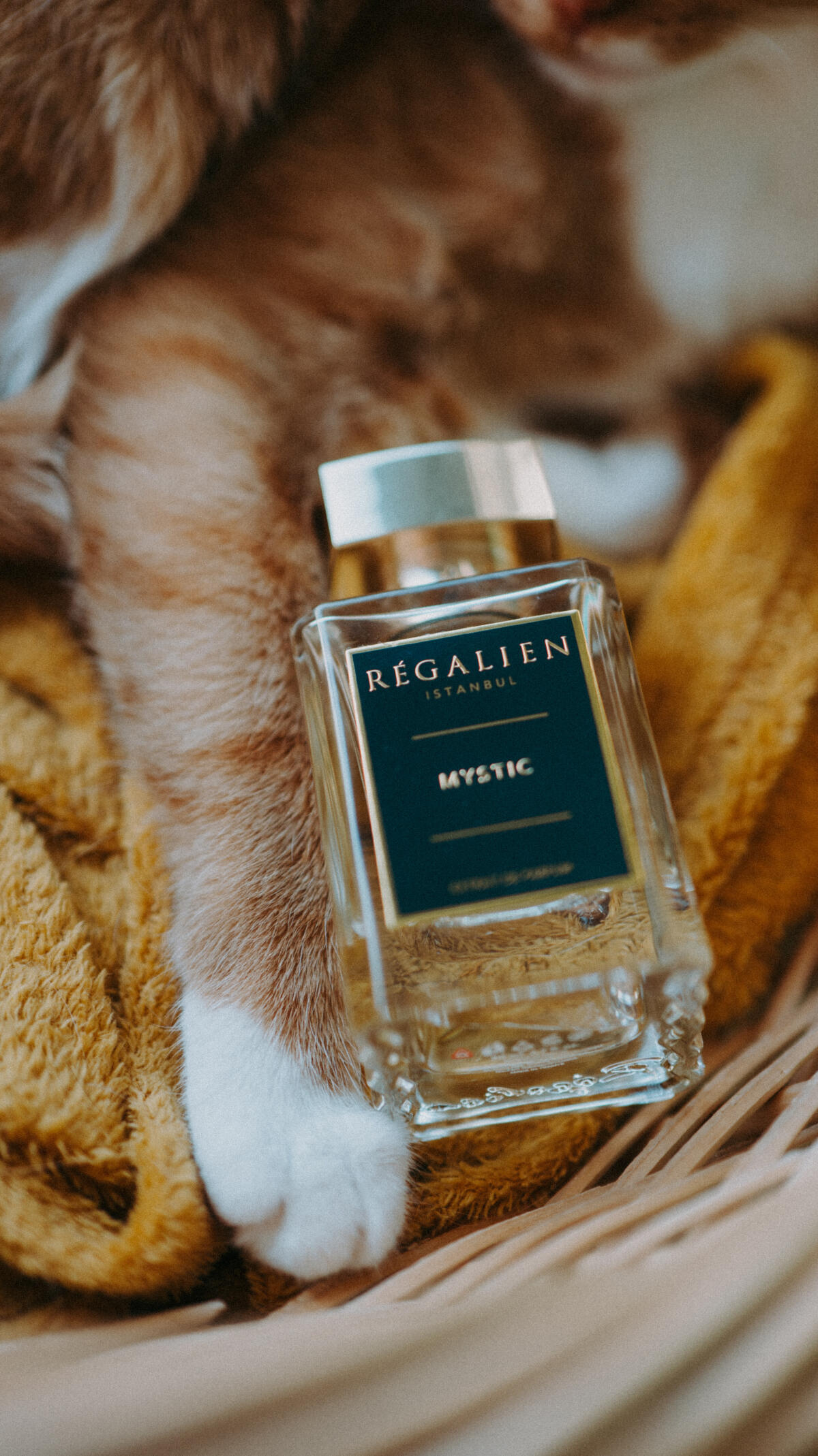 Mystic Regalien 香水 - 一款 2018年 中性 香水