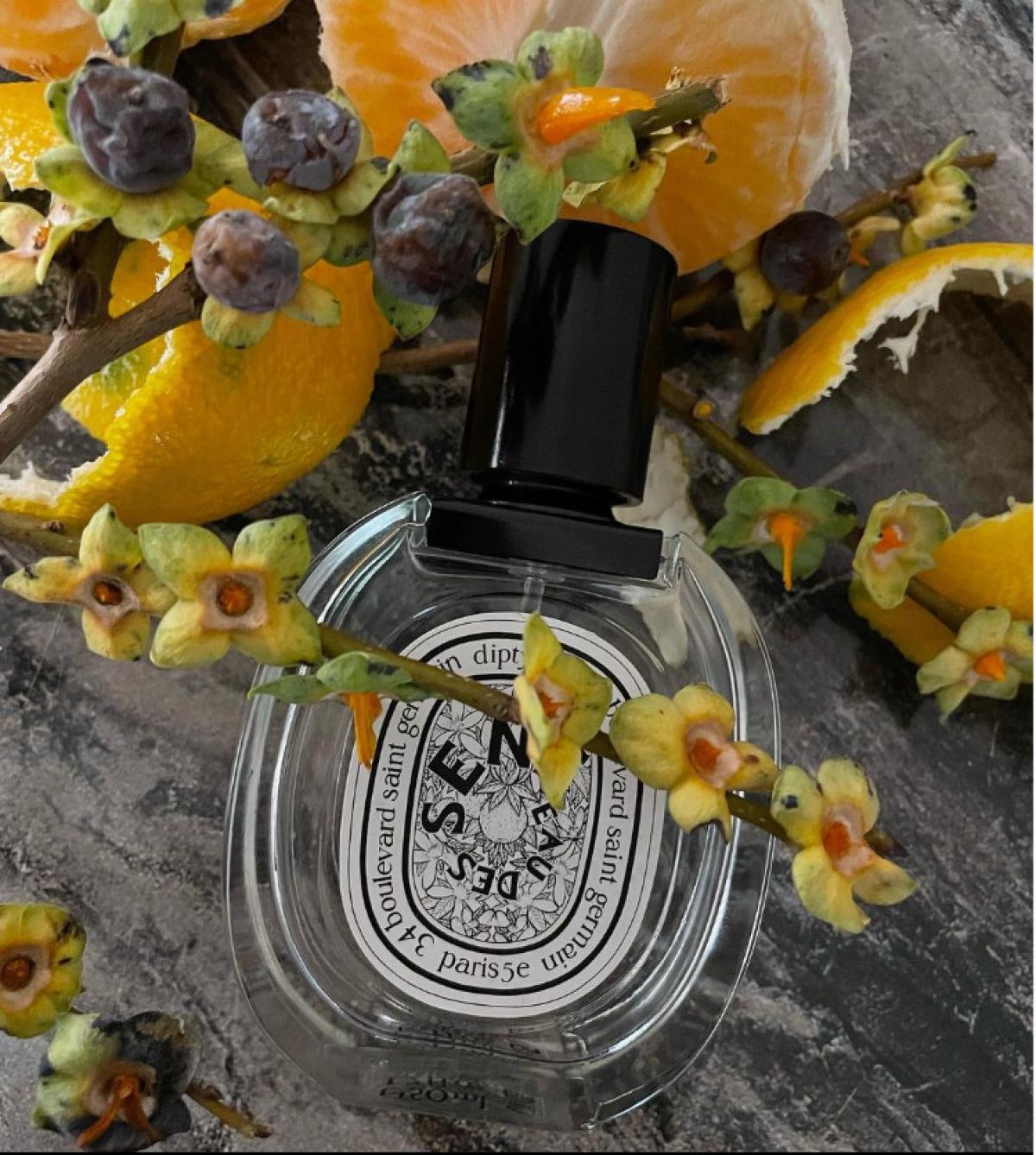 Eau des Sens Eau de Toilette Diptyque parfum - un parfum pour homme et ...