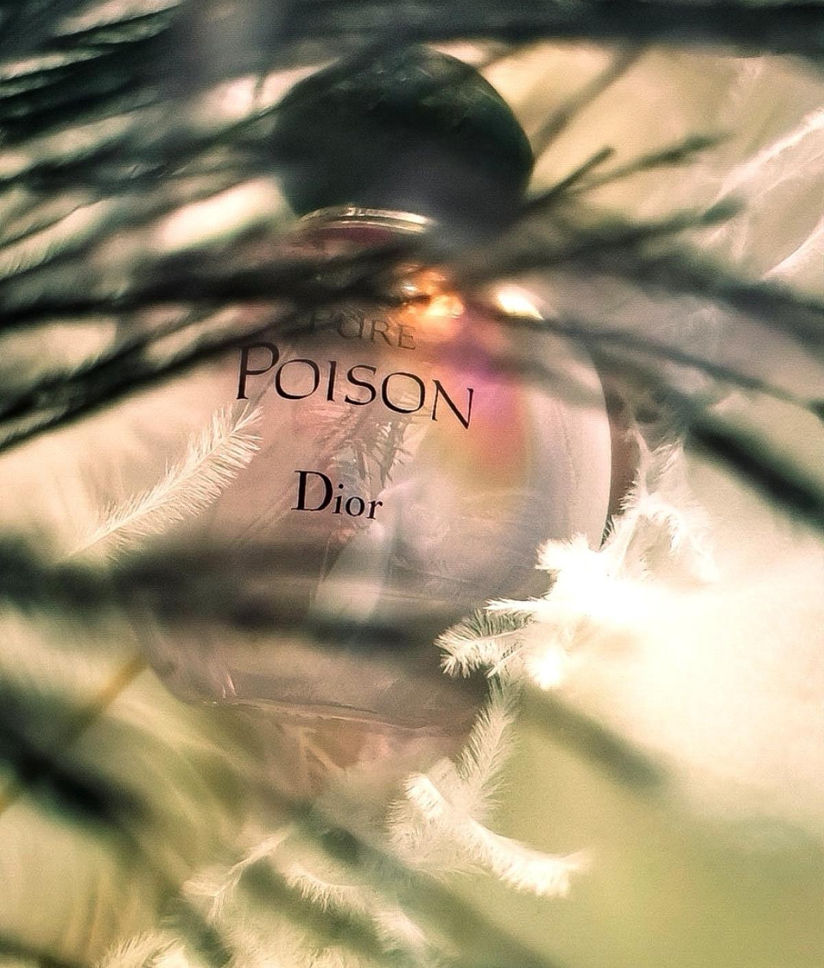 Pure Poison Dior perfume - a fragrância Feminino 2004