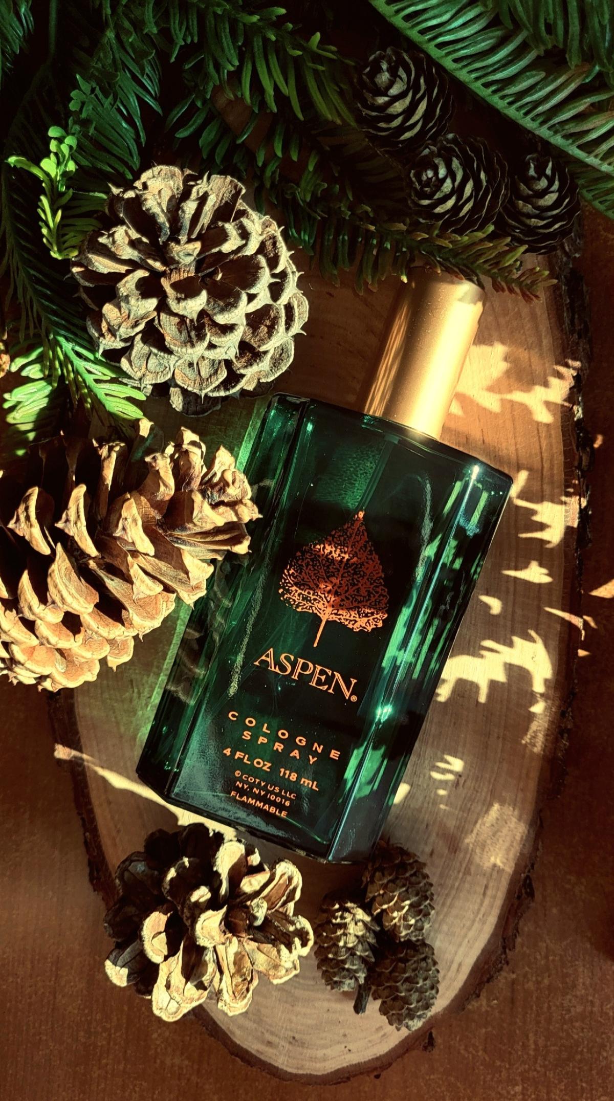 Aspen For Men Coty Colonia - una fragancia para Hombres 1989